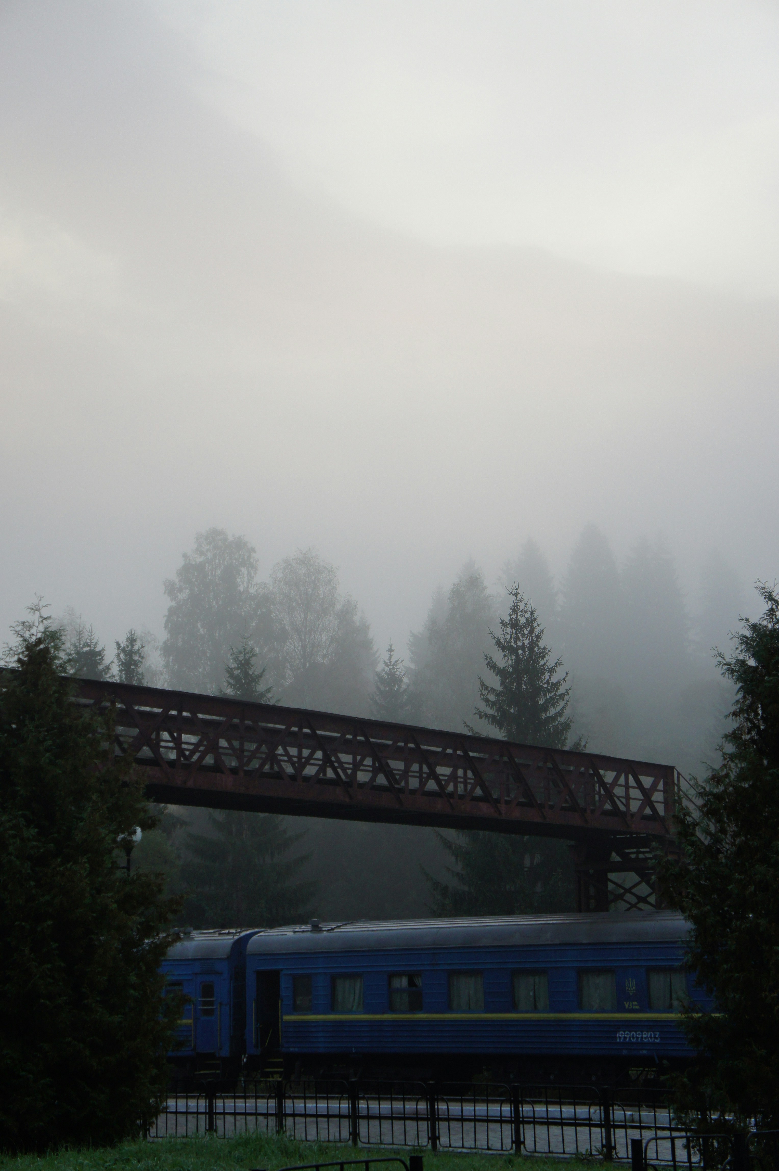 Photo by Julia Tsuckanova with Sony NEX-3