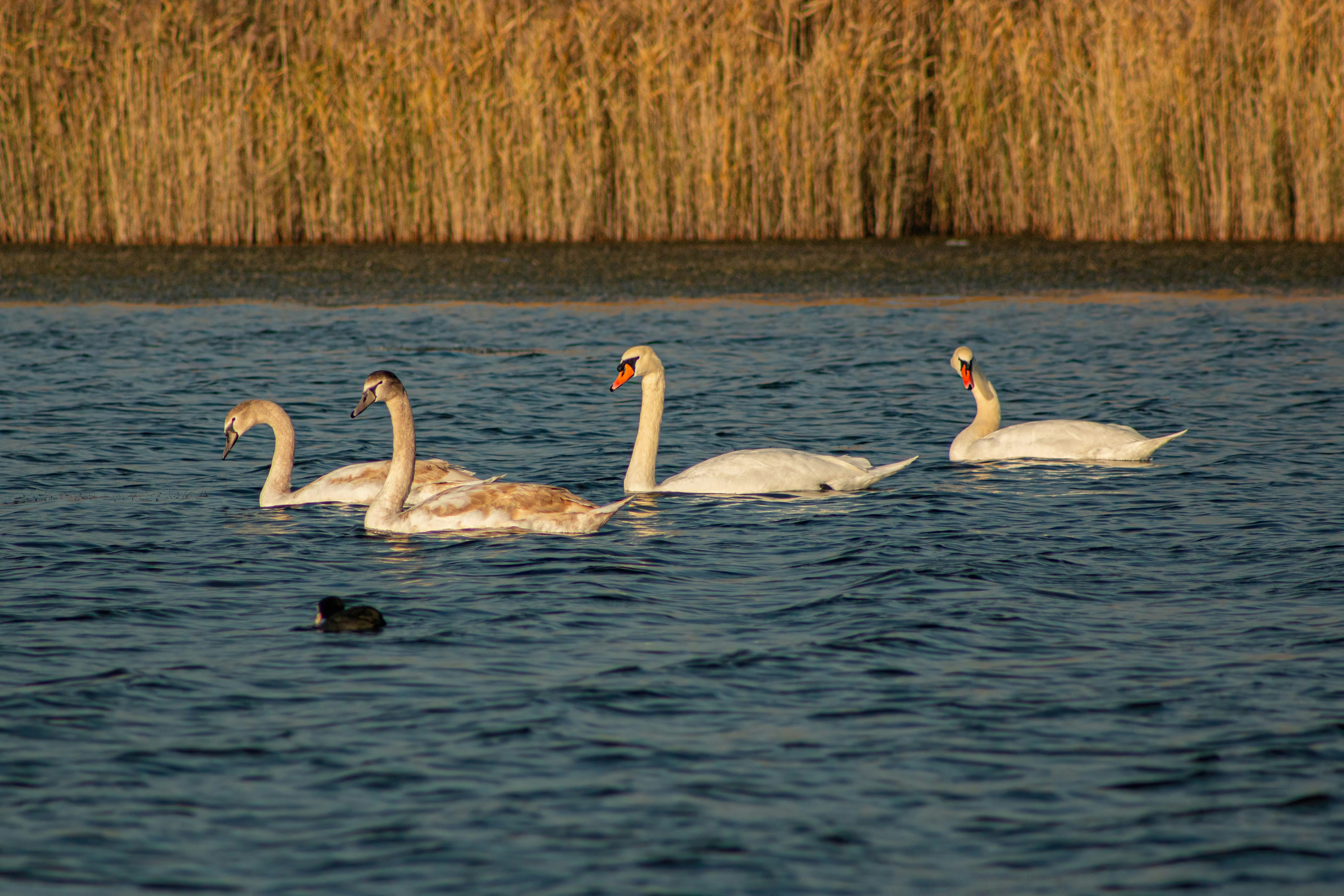 Photo by Stepan Konev with Canon EOS 70D