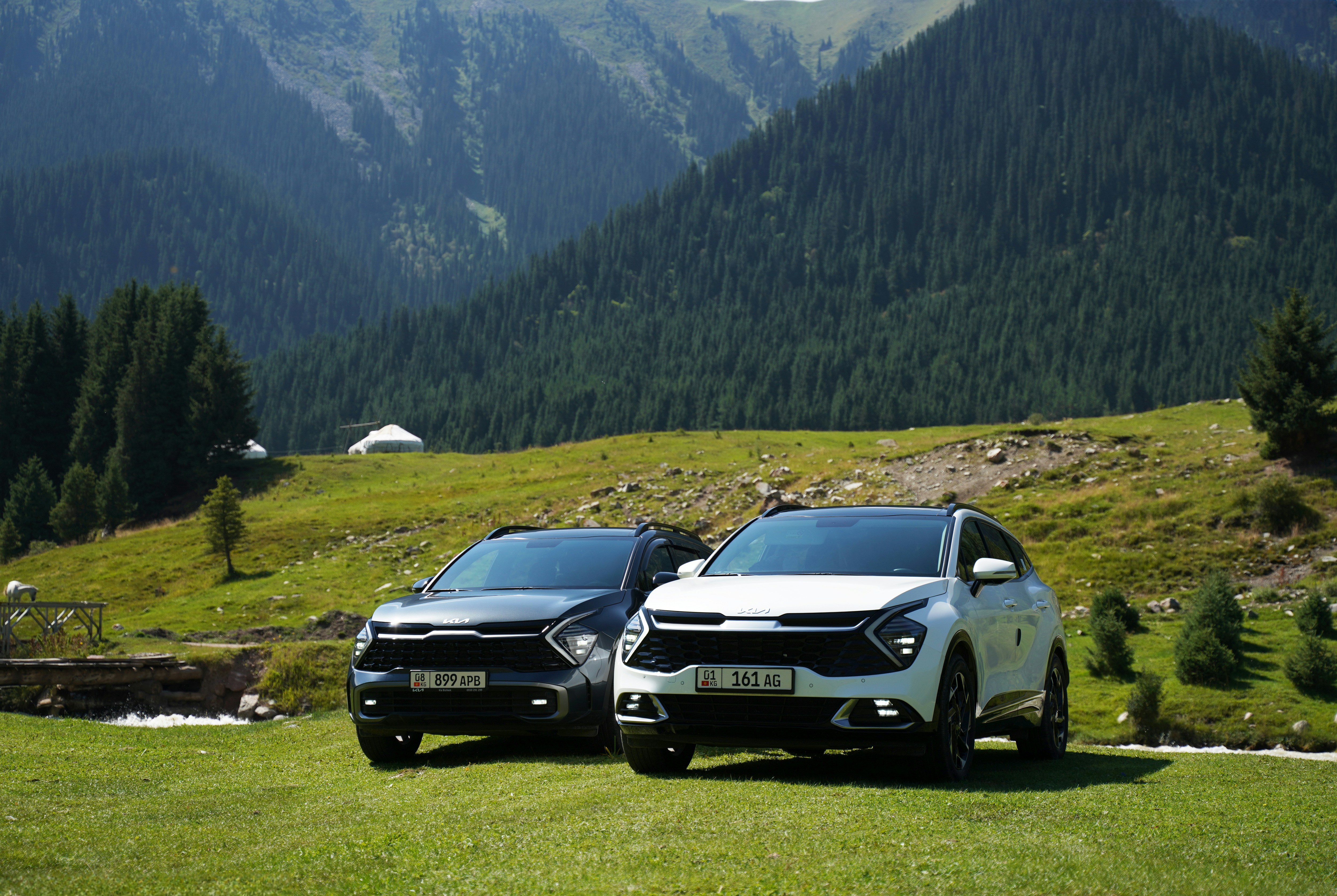 A couple of cars parked on top of a lush green hillside photo – Free ...