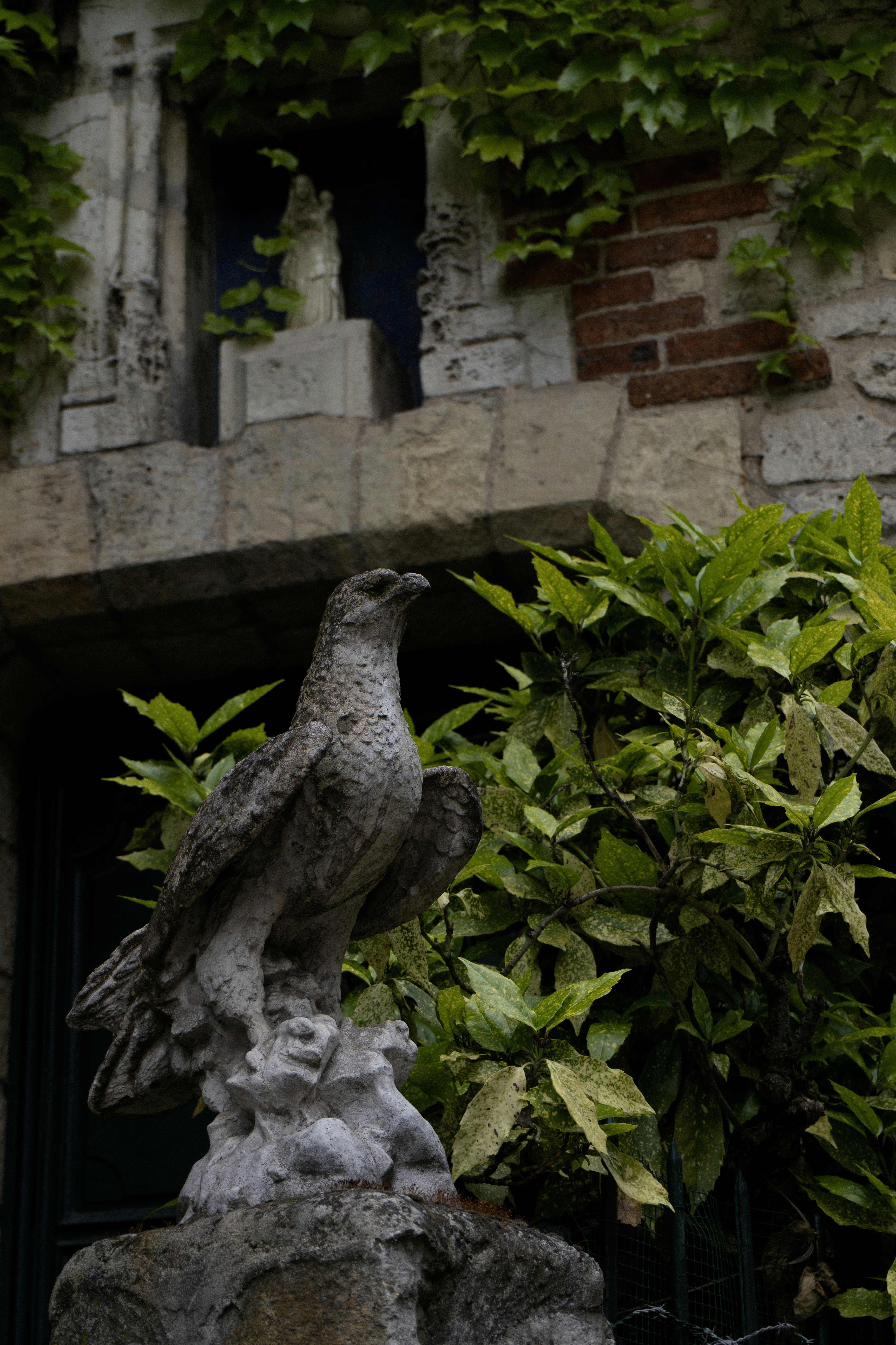 Weathered Stone Bird on an Ivy-Clad Facade