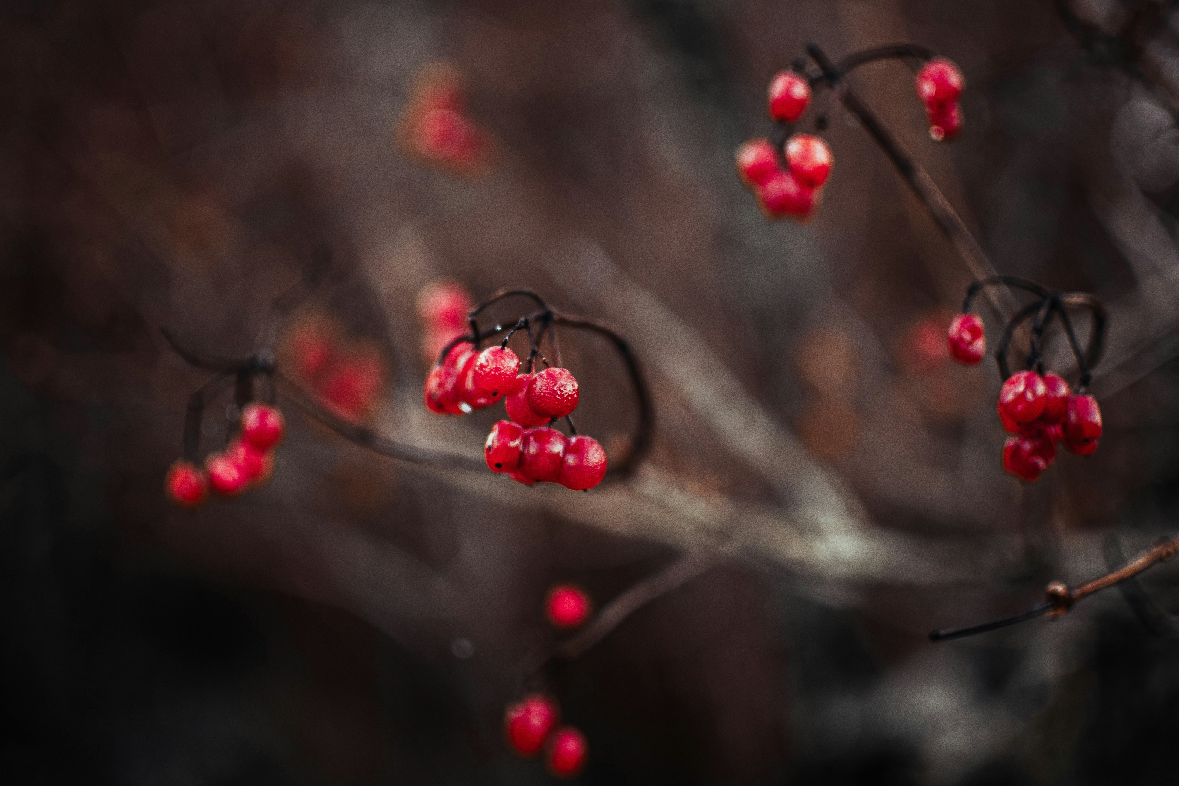 Photo by Sofia Holmberg with Nikon D750