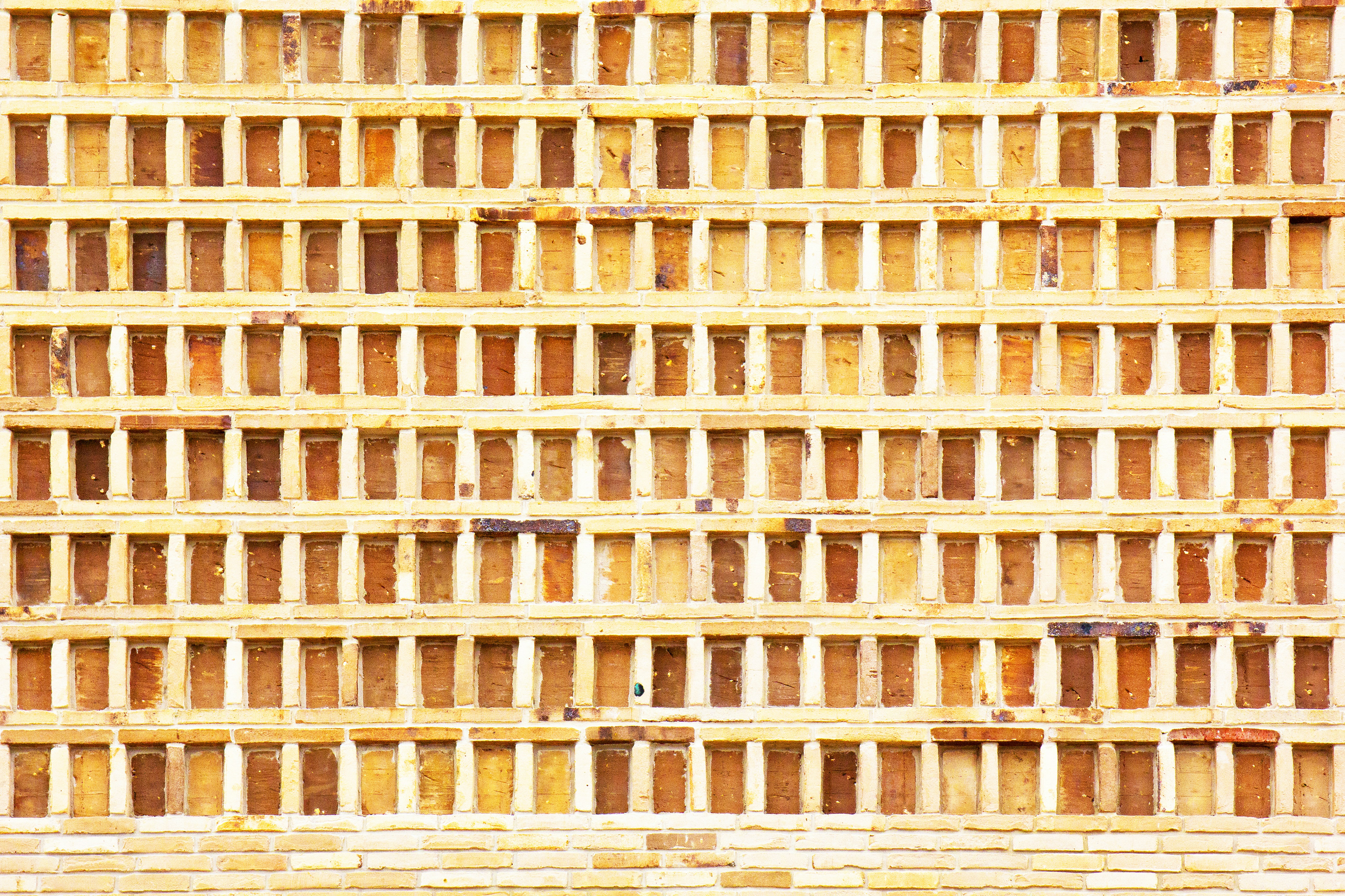 Photo by Connie de Vries with Canon EOS 60D