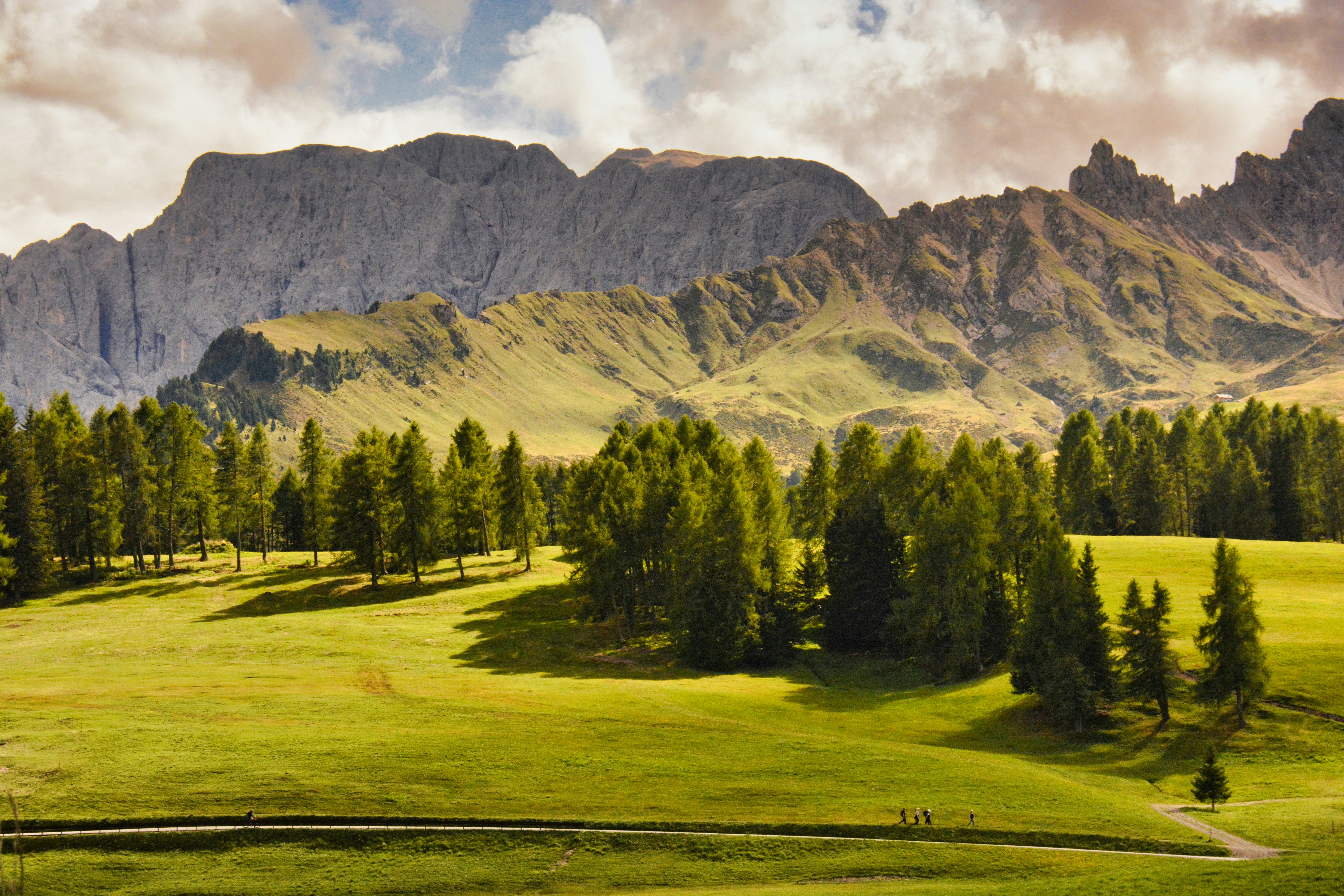 Meadow Beneath Granite Giants: Pines Framing a Sunlit Alpine Vista