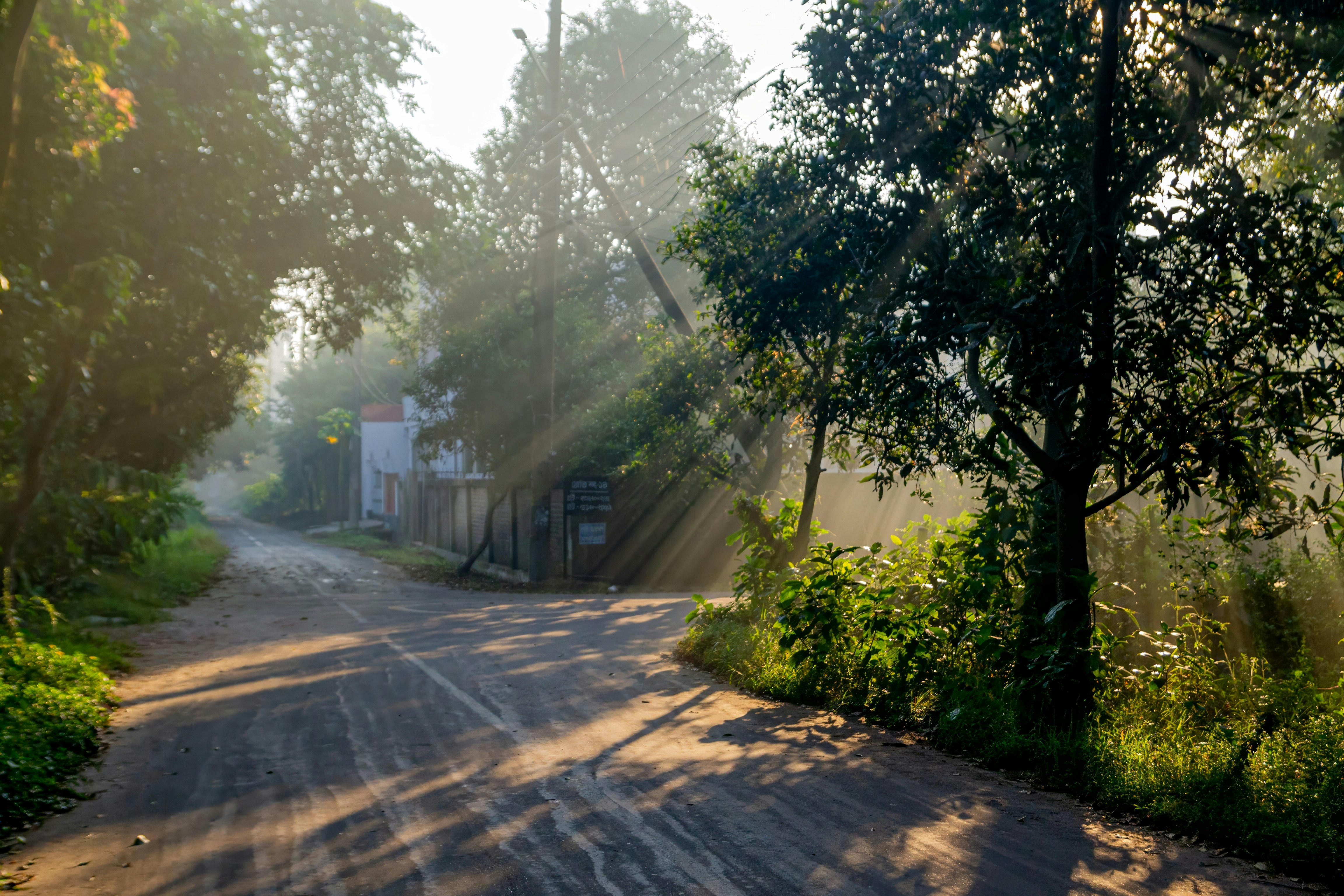 A dirt road surrounded by trees and bushes photo – Free Savar Image on ...