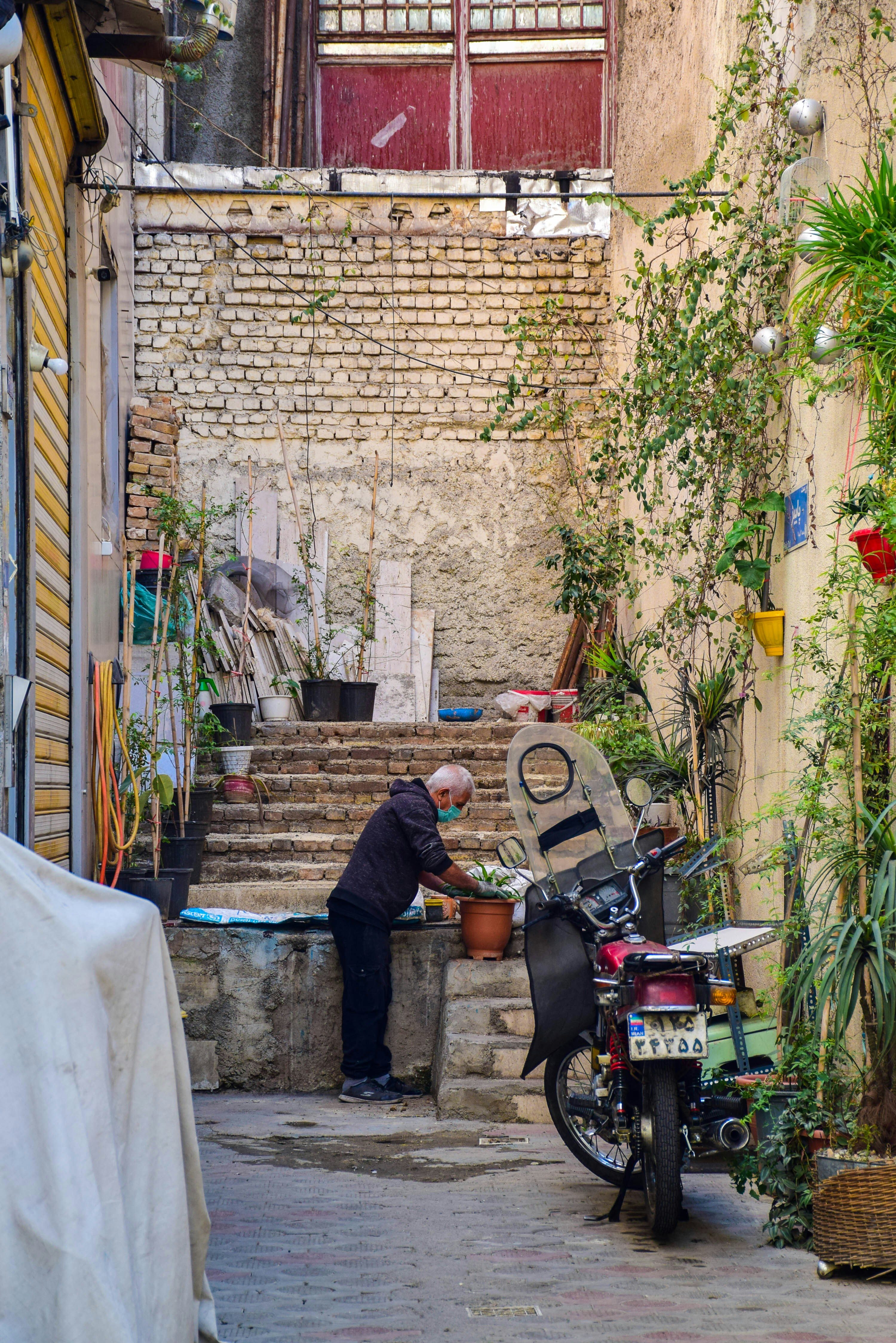 Alleyway Potting: A Quiet Moment by a Parked Motorcycle