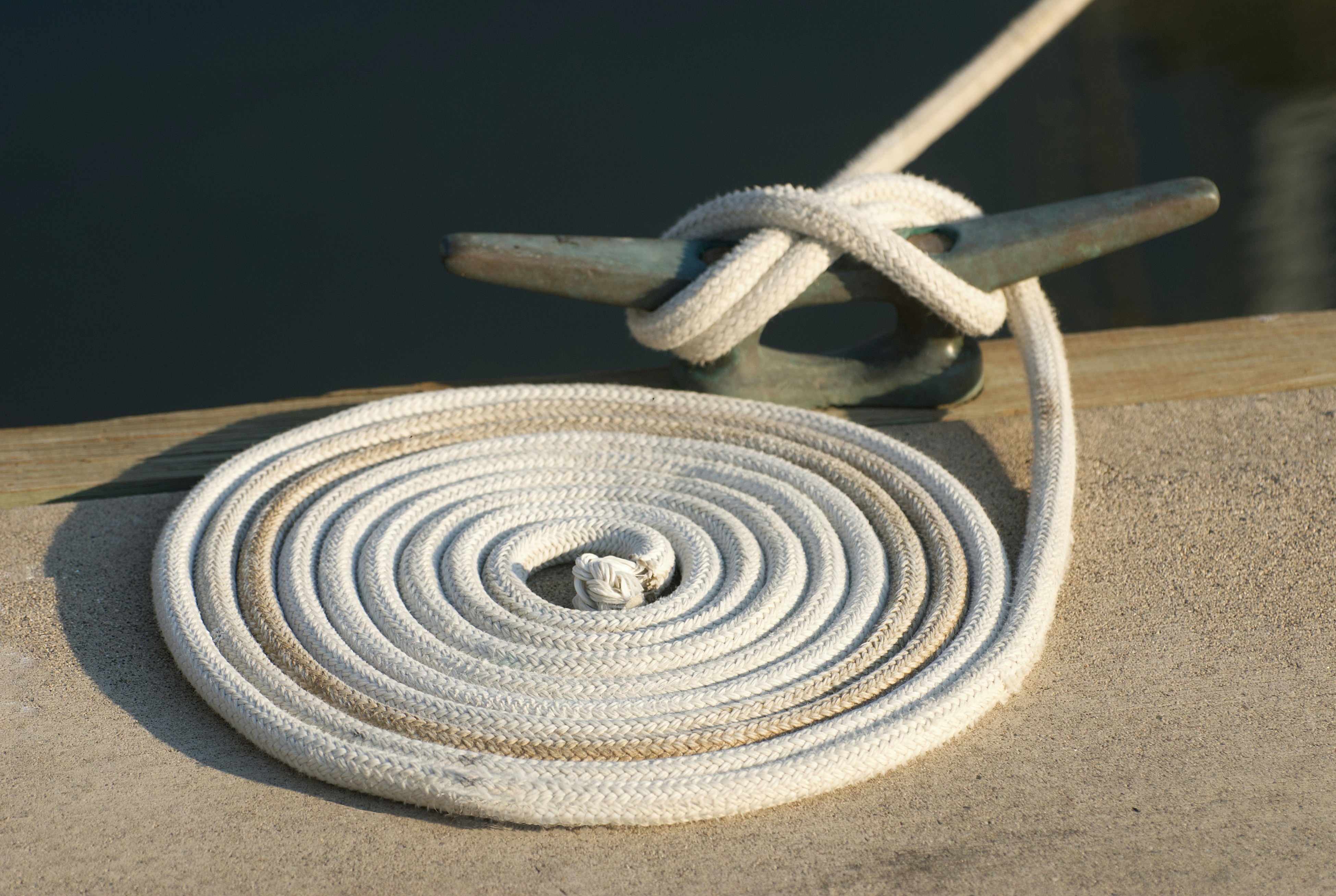 A close up of a white rope on a dock photo – Free Spiral Image on Unsplash