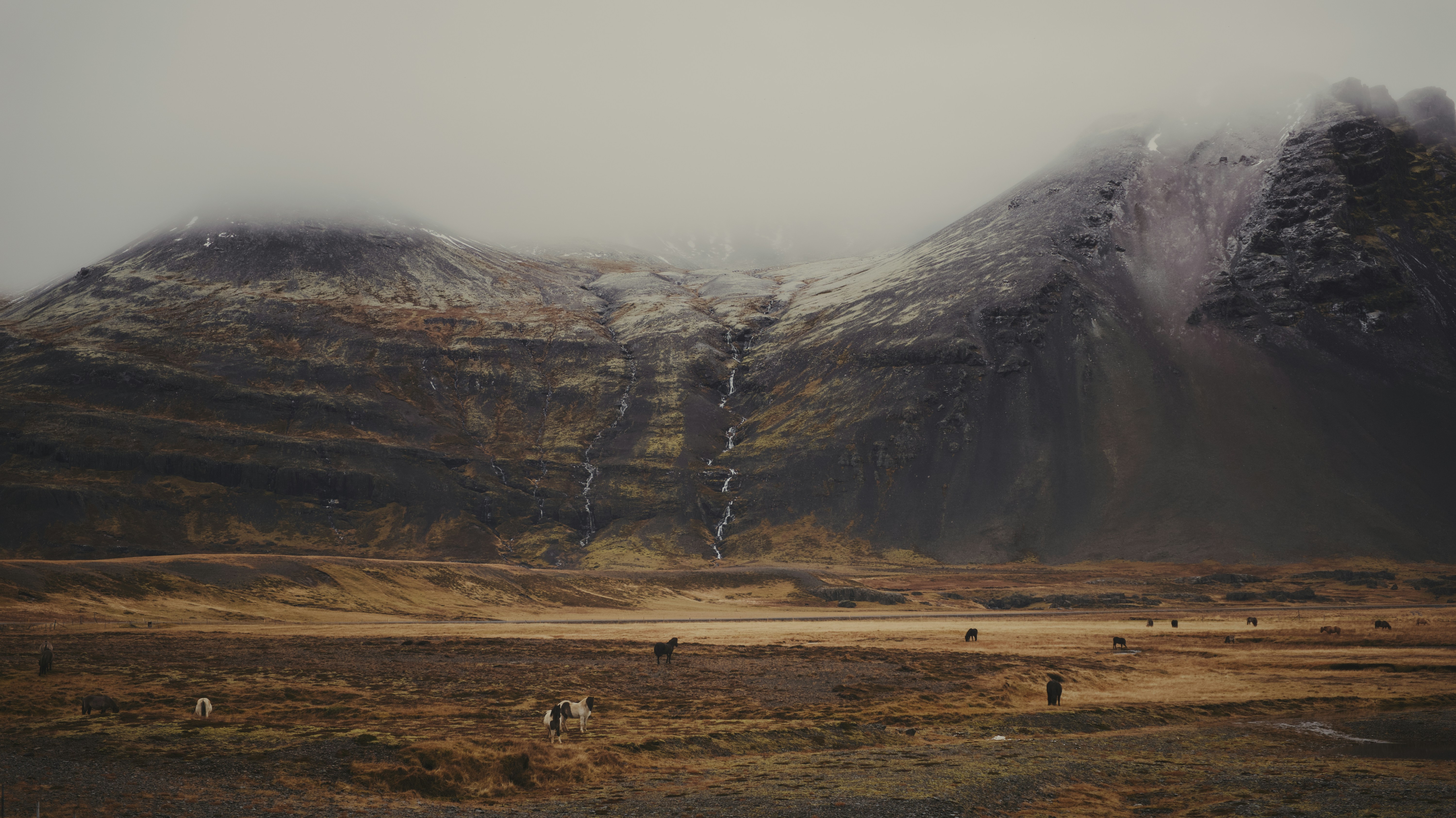 Photo by Jack Coble with Sony Alpha 6000