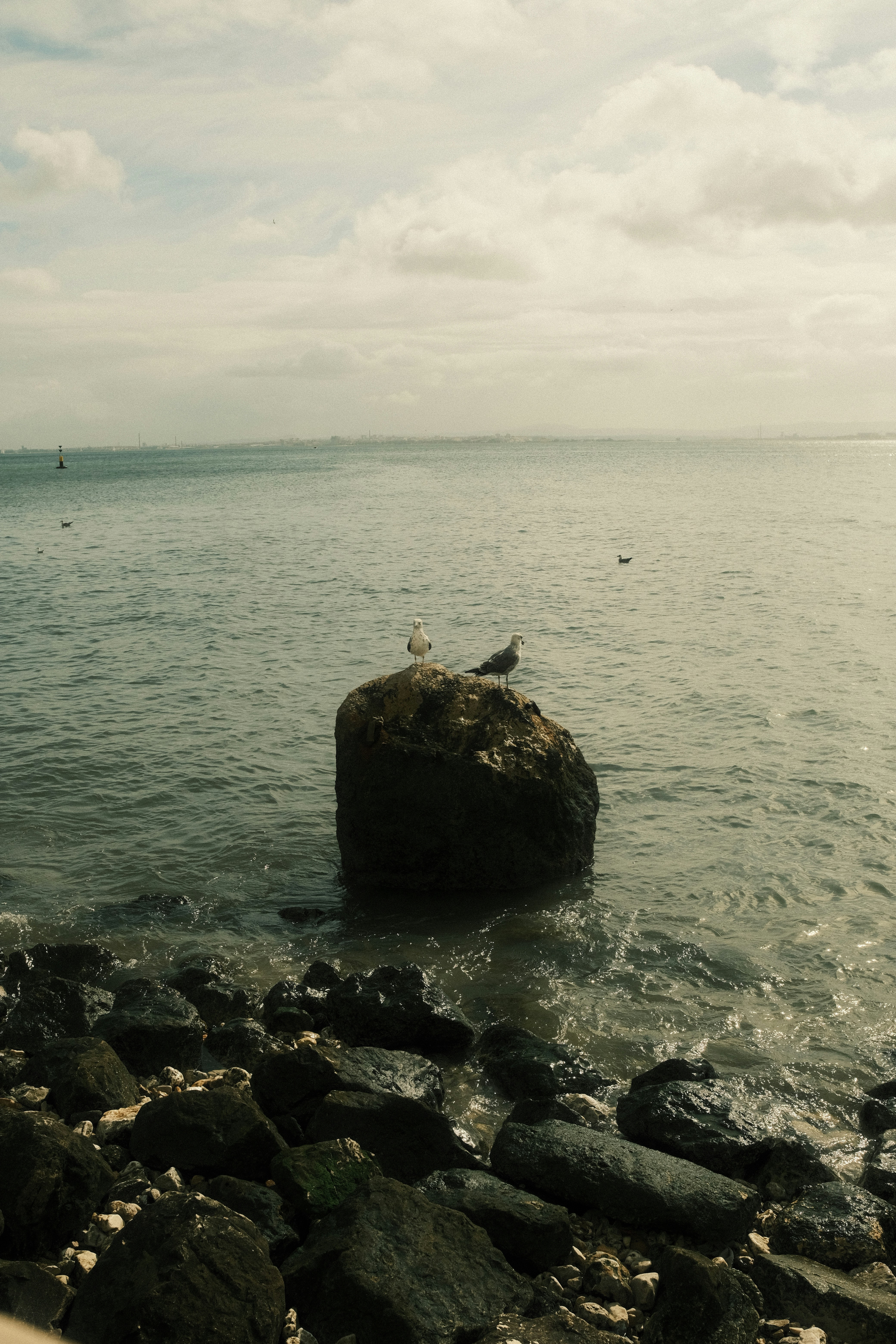 Ionut Vlad (@ionutvladphotobook) | Comunidade de fotos da Unsplash