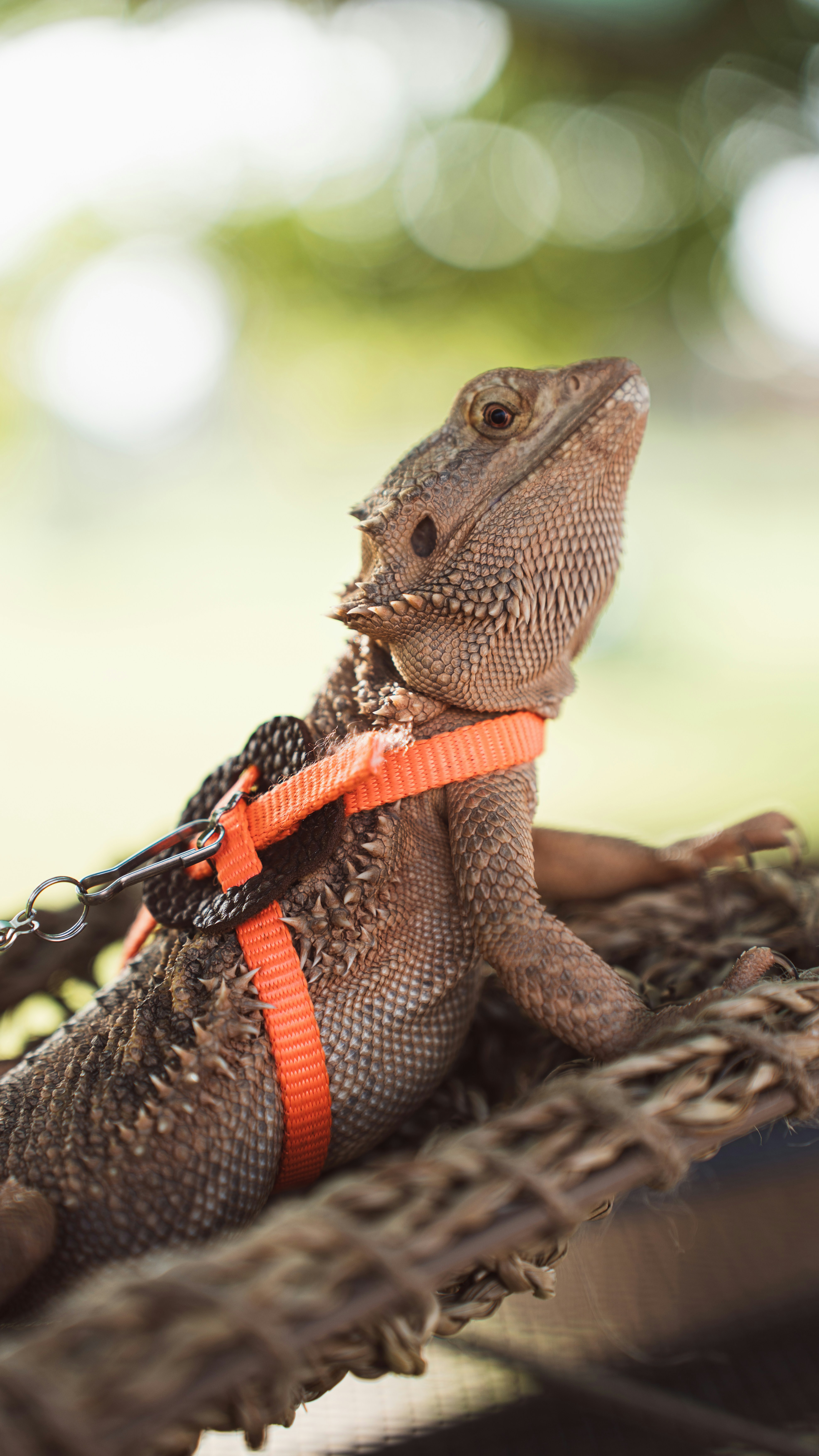 Aldebaran Quino (@paradiddle) | Unsplash Photo Community