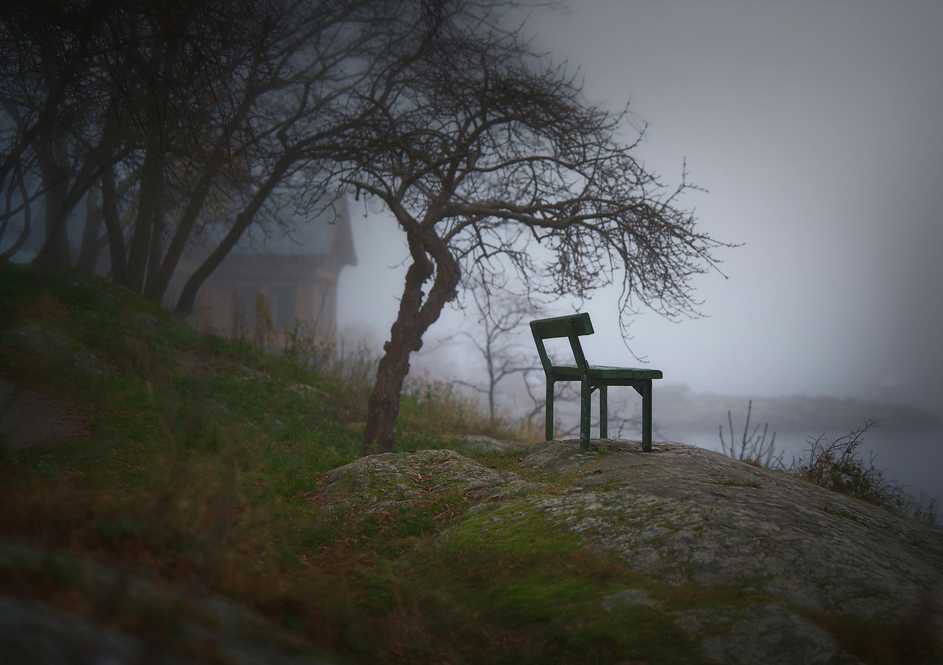 Lonely Bench at the Edge of Mist