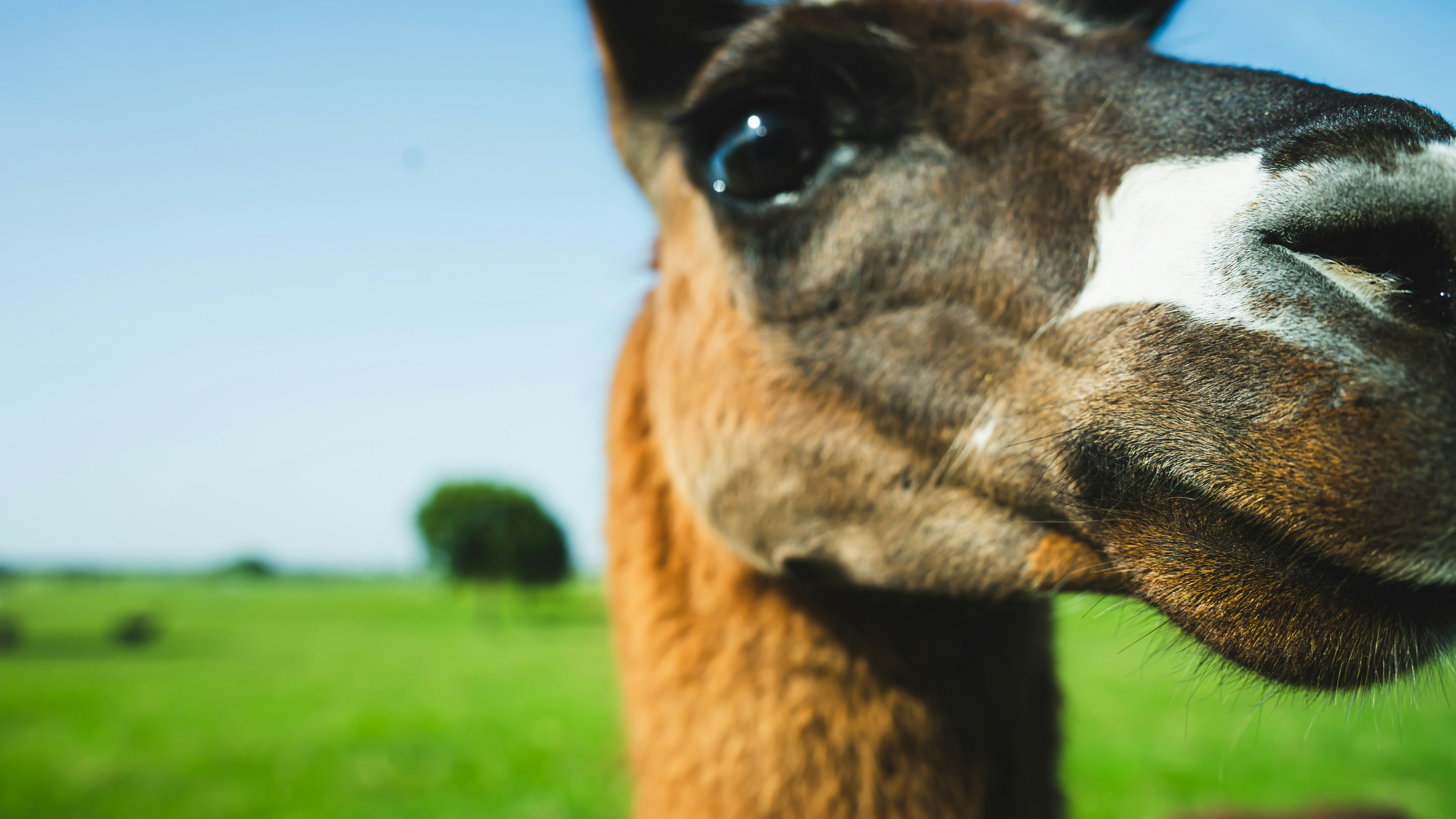 Aldebaran Quino (@paradiddle) | Unsplash Photo Community