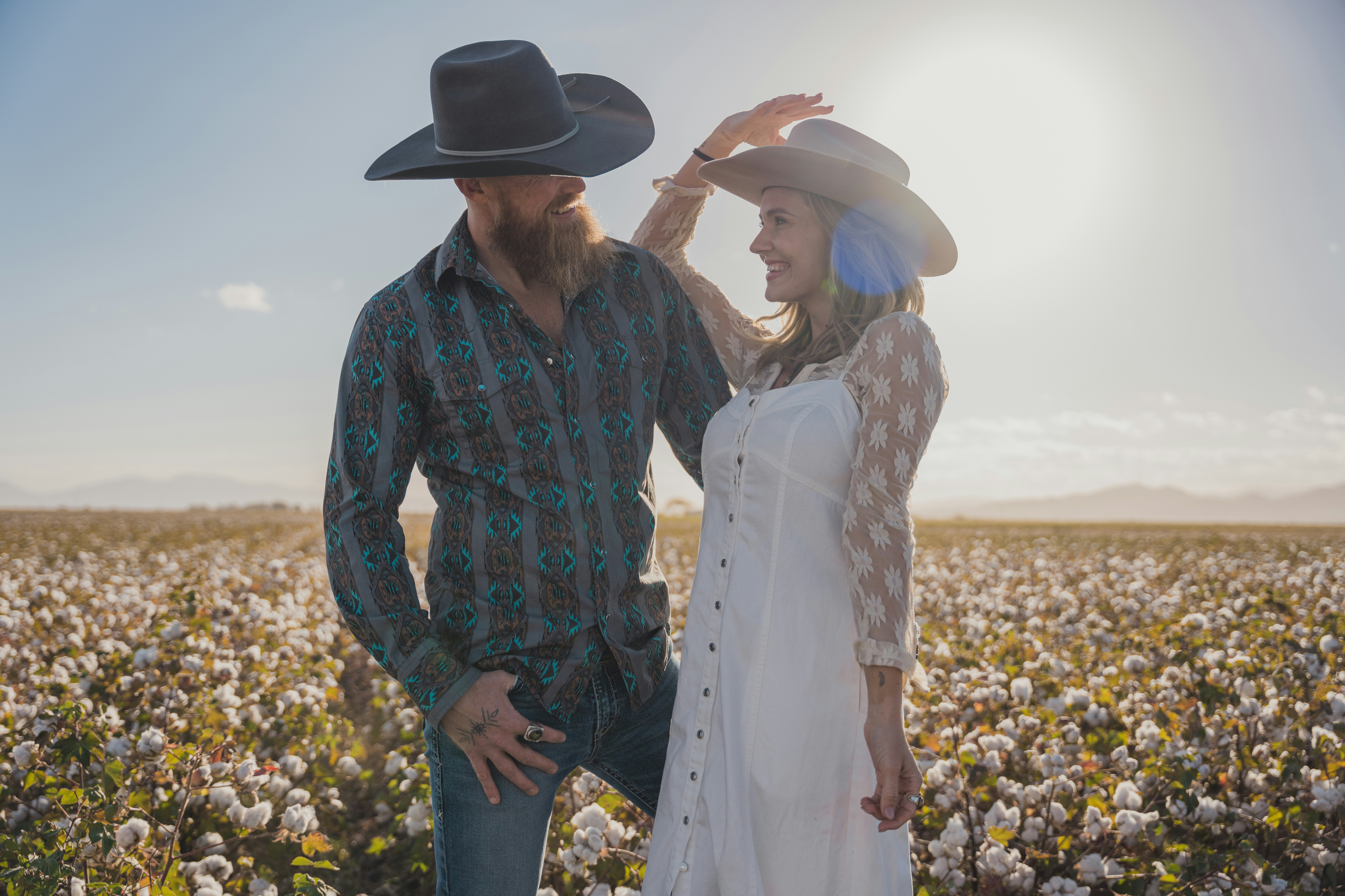 Sunlit Harmony in a Cotton Field