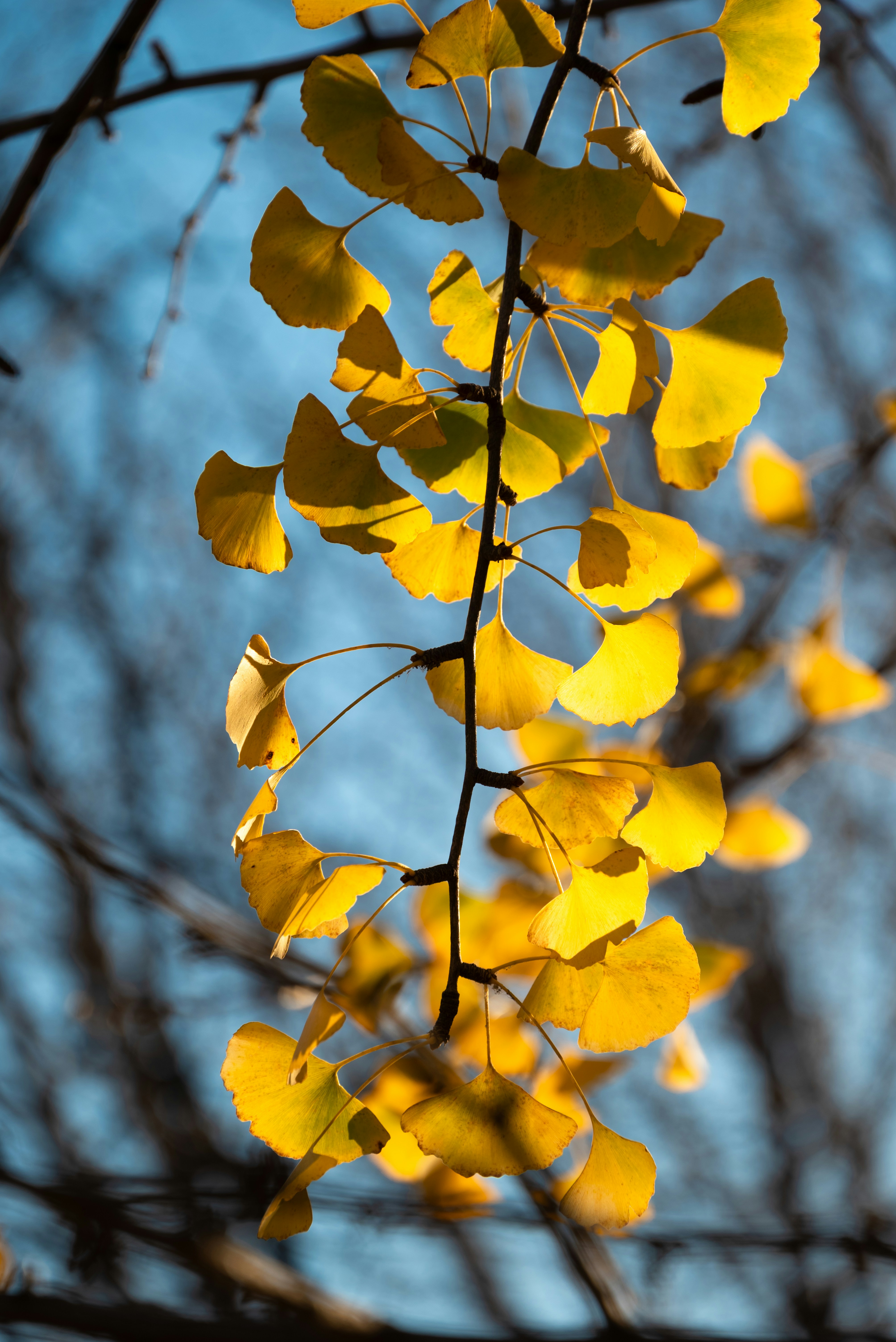 Photo by ran liwen with Nikon Z5