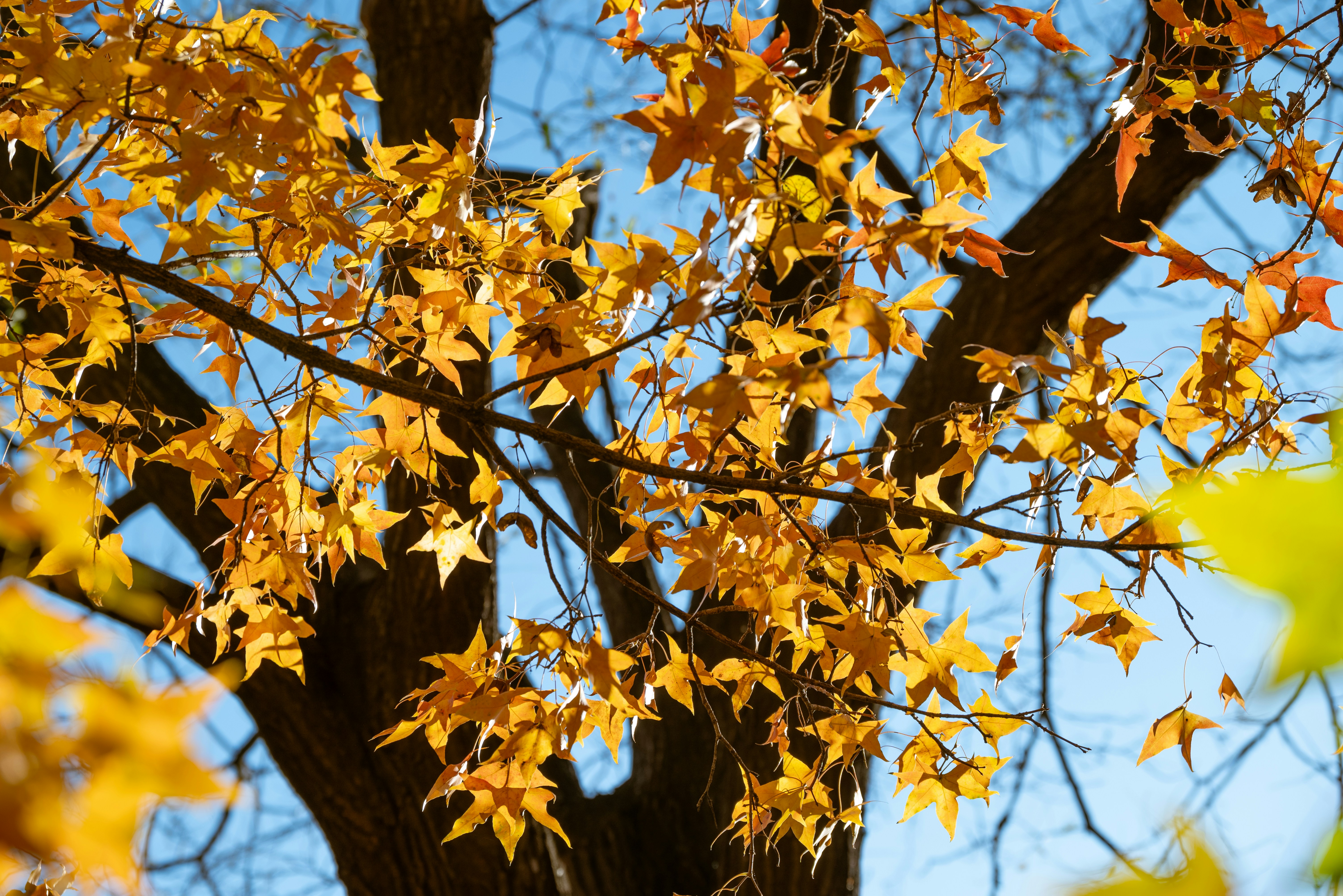 Photo by ran liwen with Nikon Z5