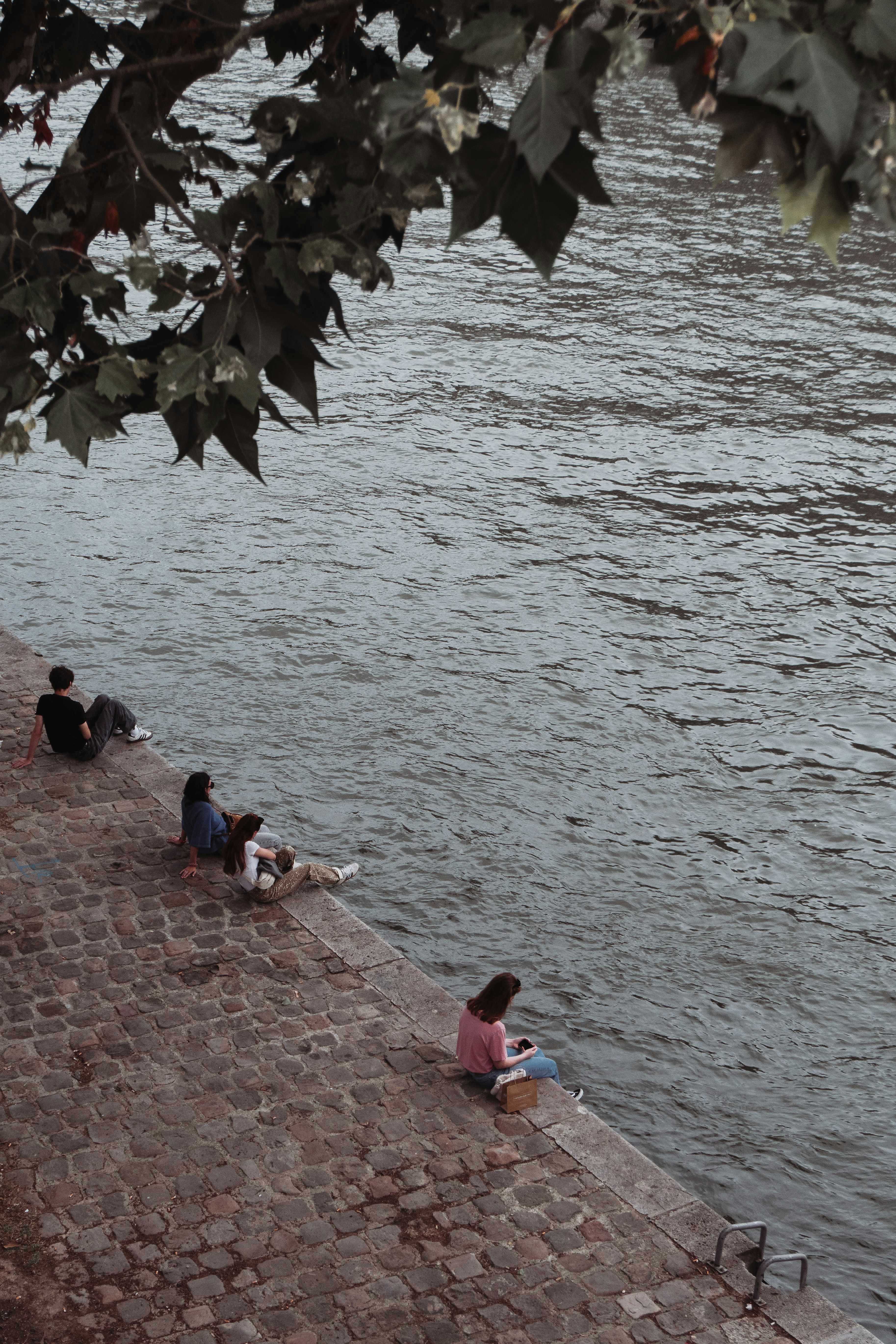 Riverside Cobblestones and Quiet Companions Under a Dappled Canopy