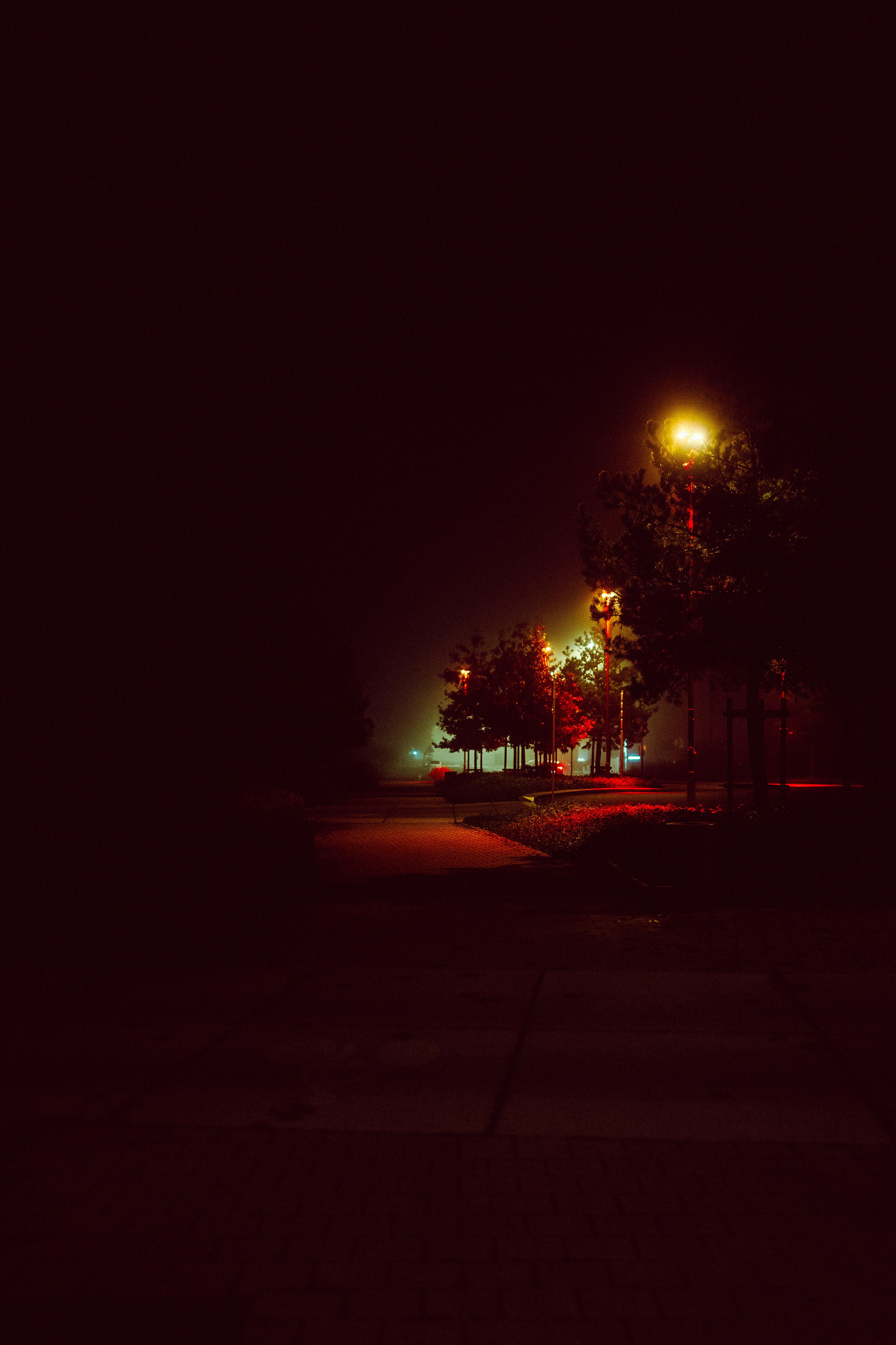 Photo by Martin Baron with Panasonic Lumix S1