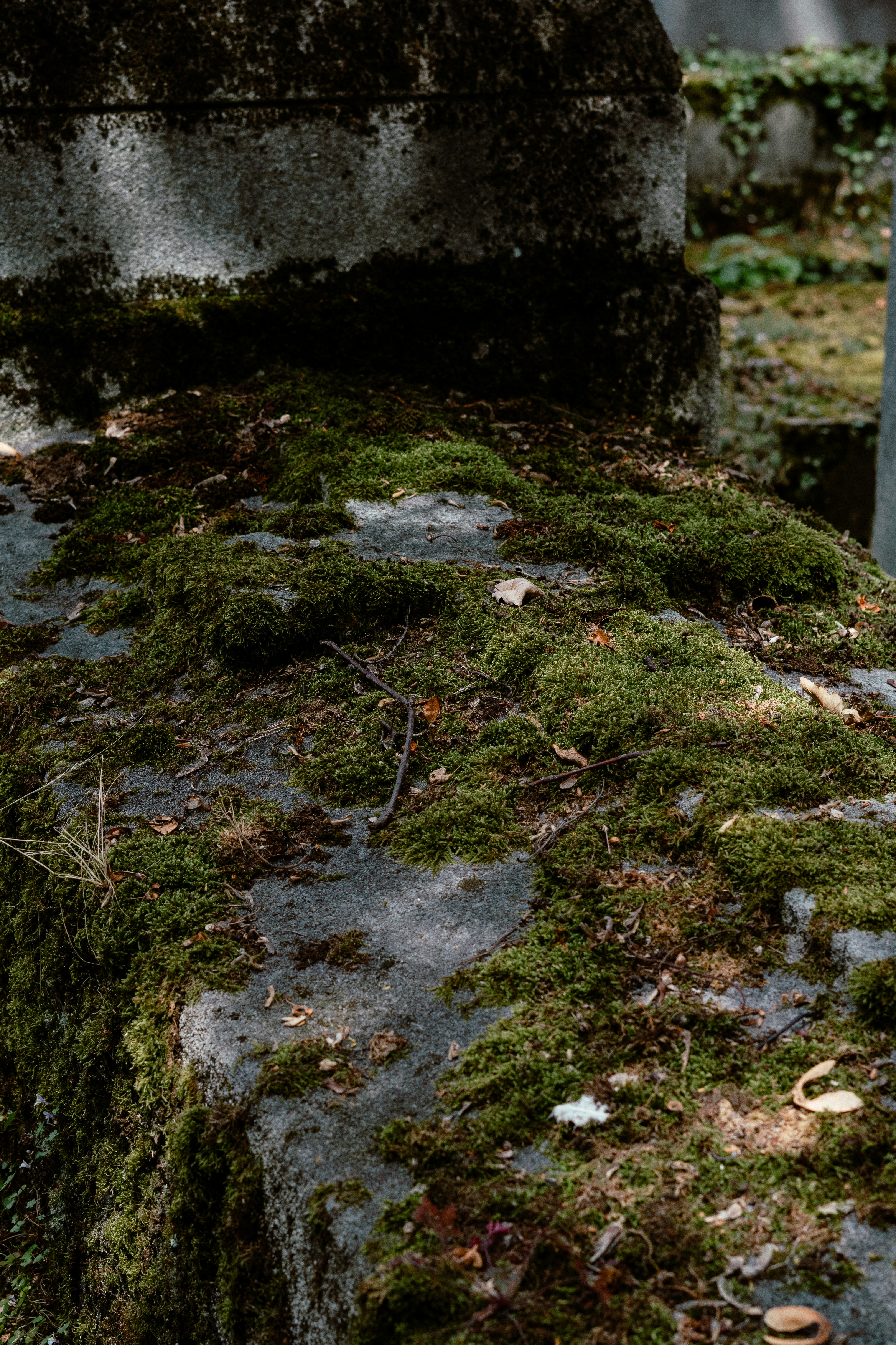 Photo by Eliott Goutard with Sony Alpha 6700