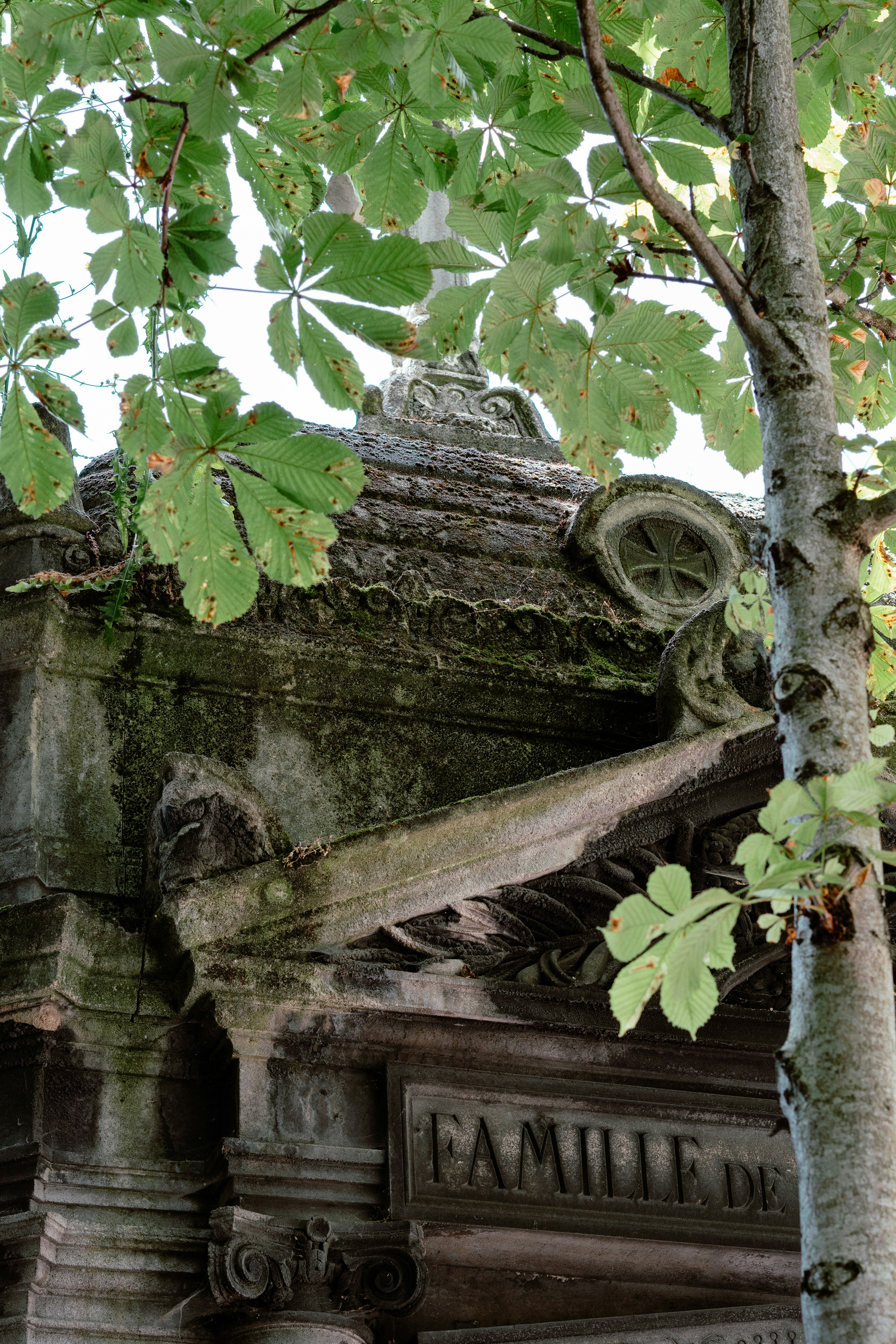 Moss-Clad Mausoleum Hidden Under a Green Canopy