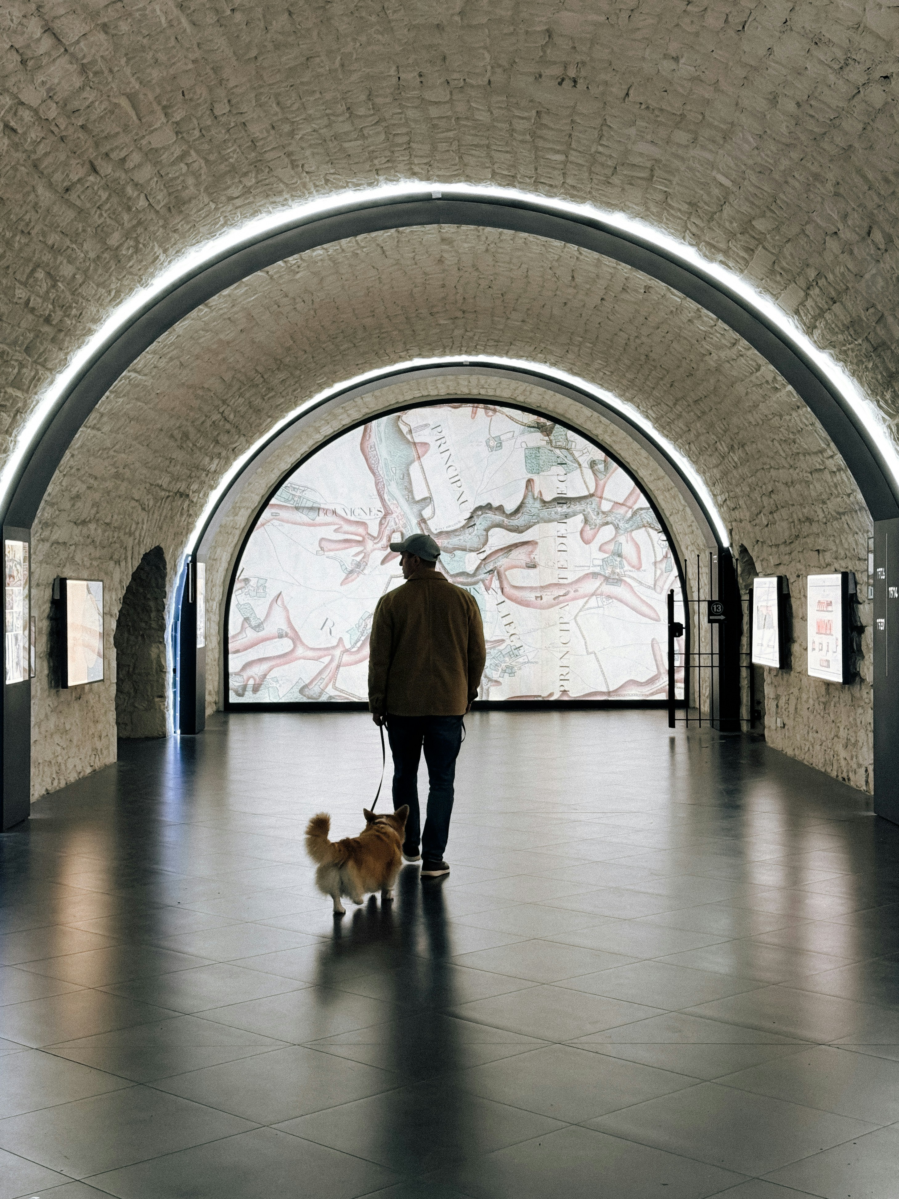 Against the Arc: A Traveler and Dog in a Tunnel-like Gallery