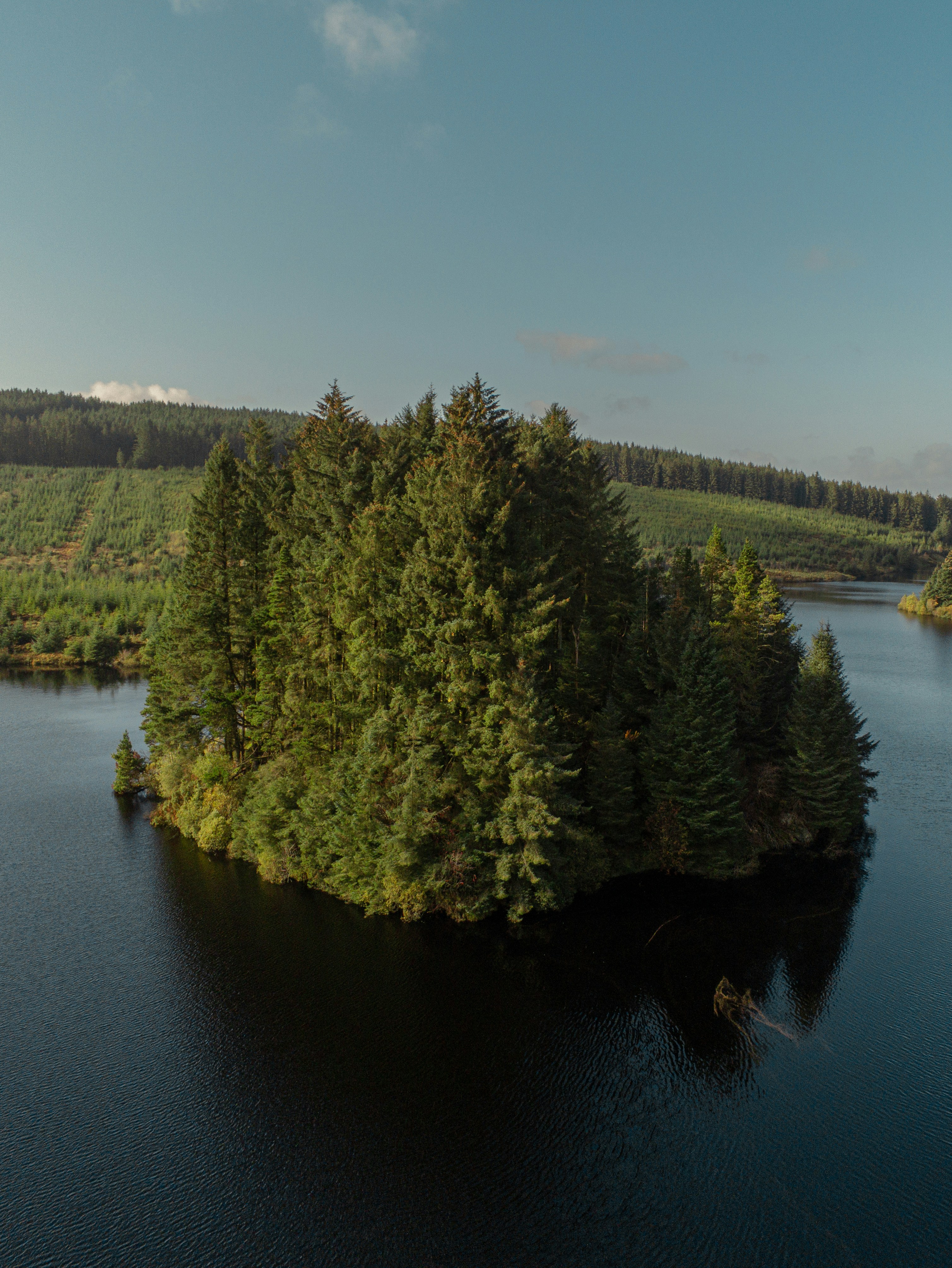 An island in a reservoir | A small island in the middle of a lake