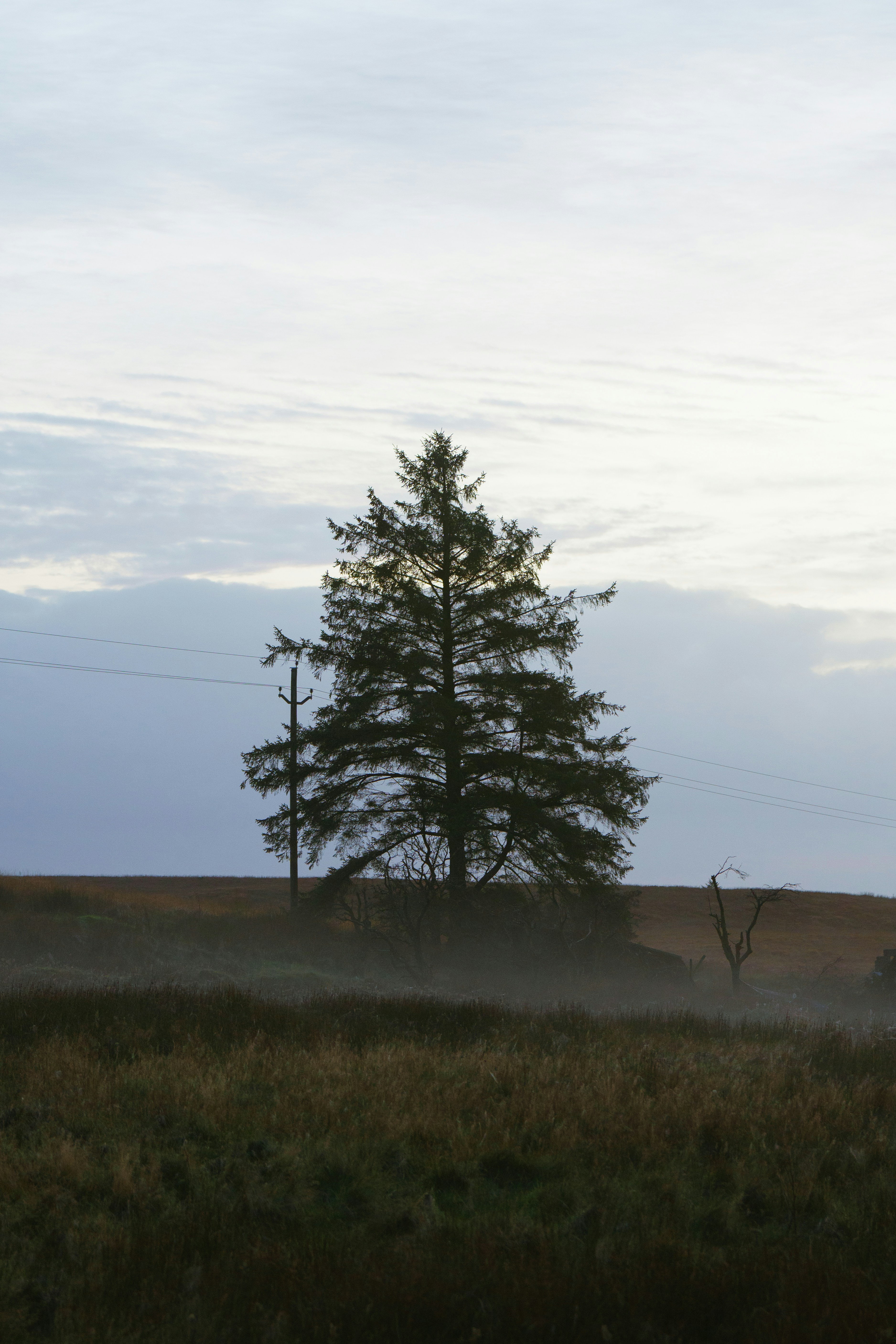 Low fog settling on some marshland | A person riding a horse in a field
