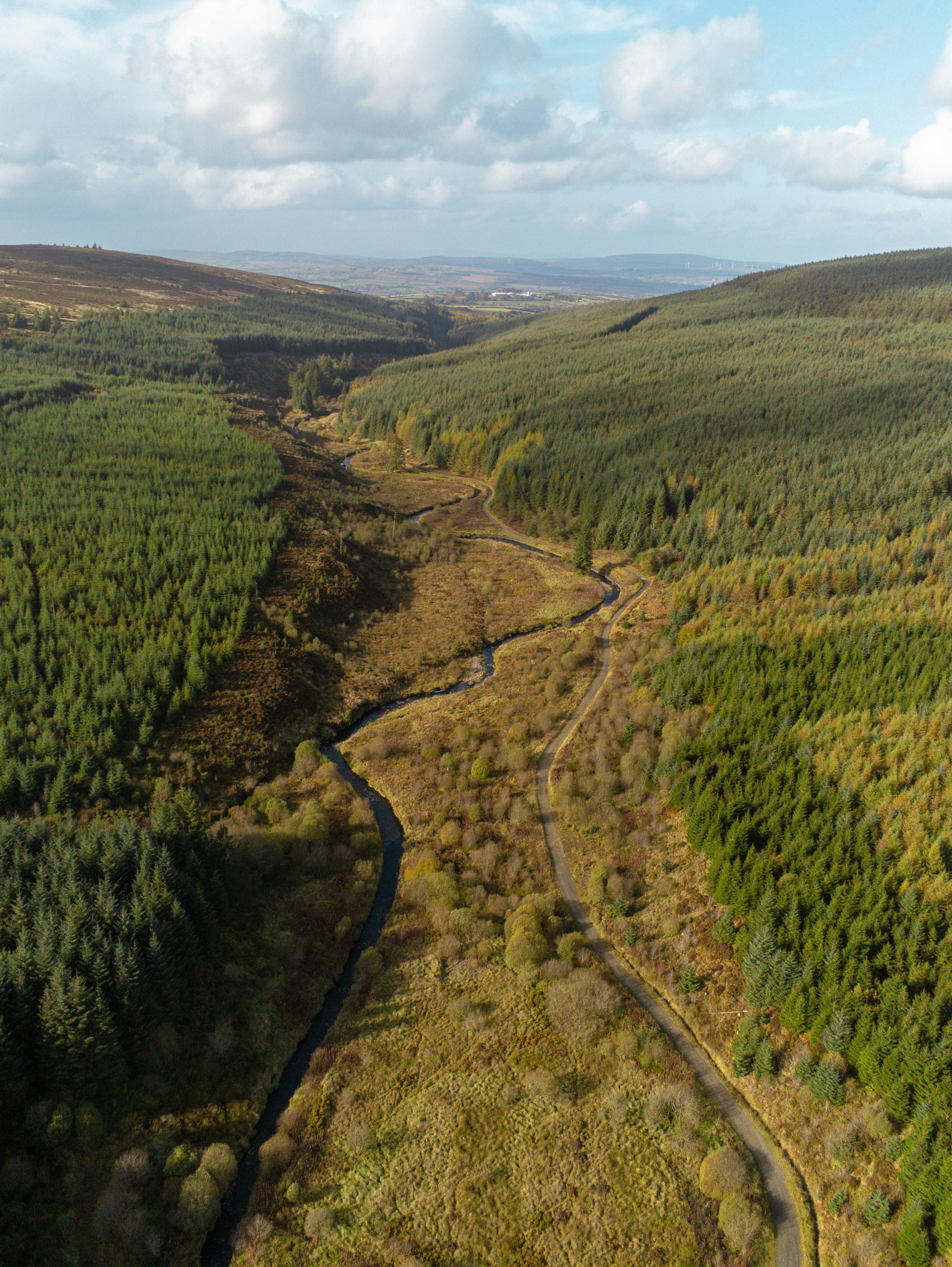 Aerial view of a winding creek cutting through a broad valley. Dense evergreen and deciduous trees in autumn line the water, with a narrow road tracing its edge.