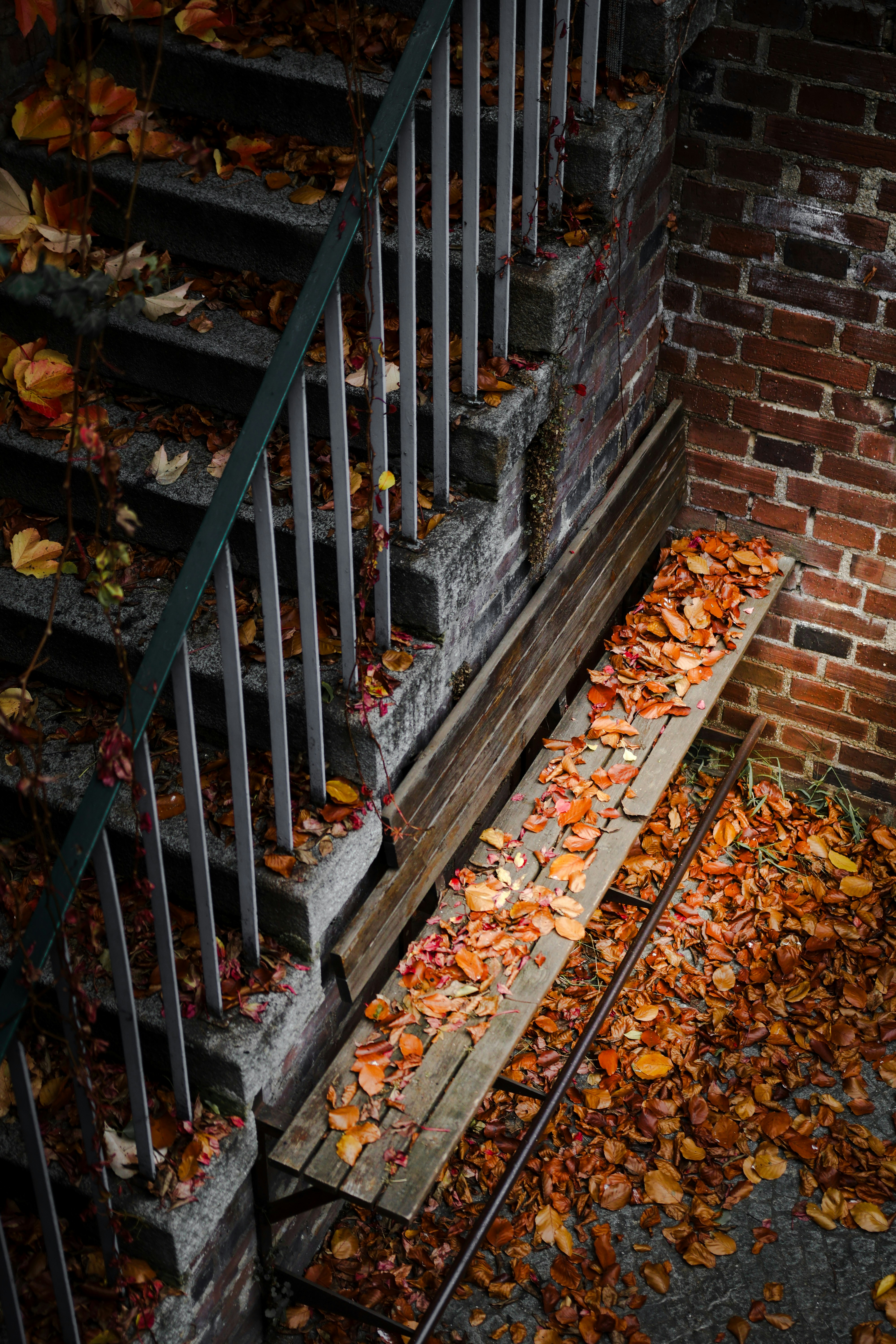 Autumn Quiet: A Weathered Bench Anchored by a Brick Stairwell