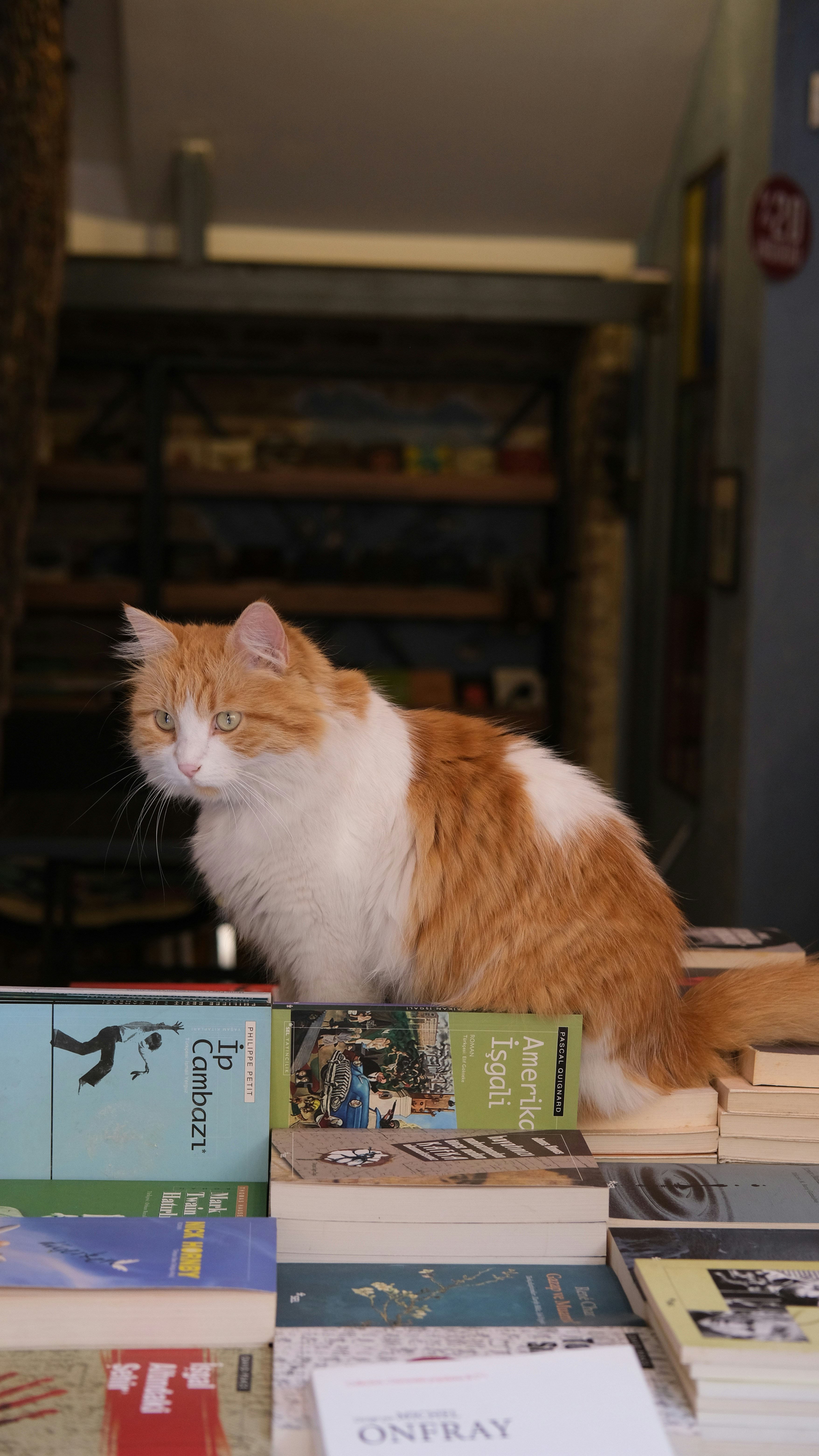 Photo by Esra Afşar with Fujifilm X-T4