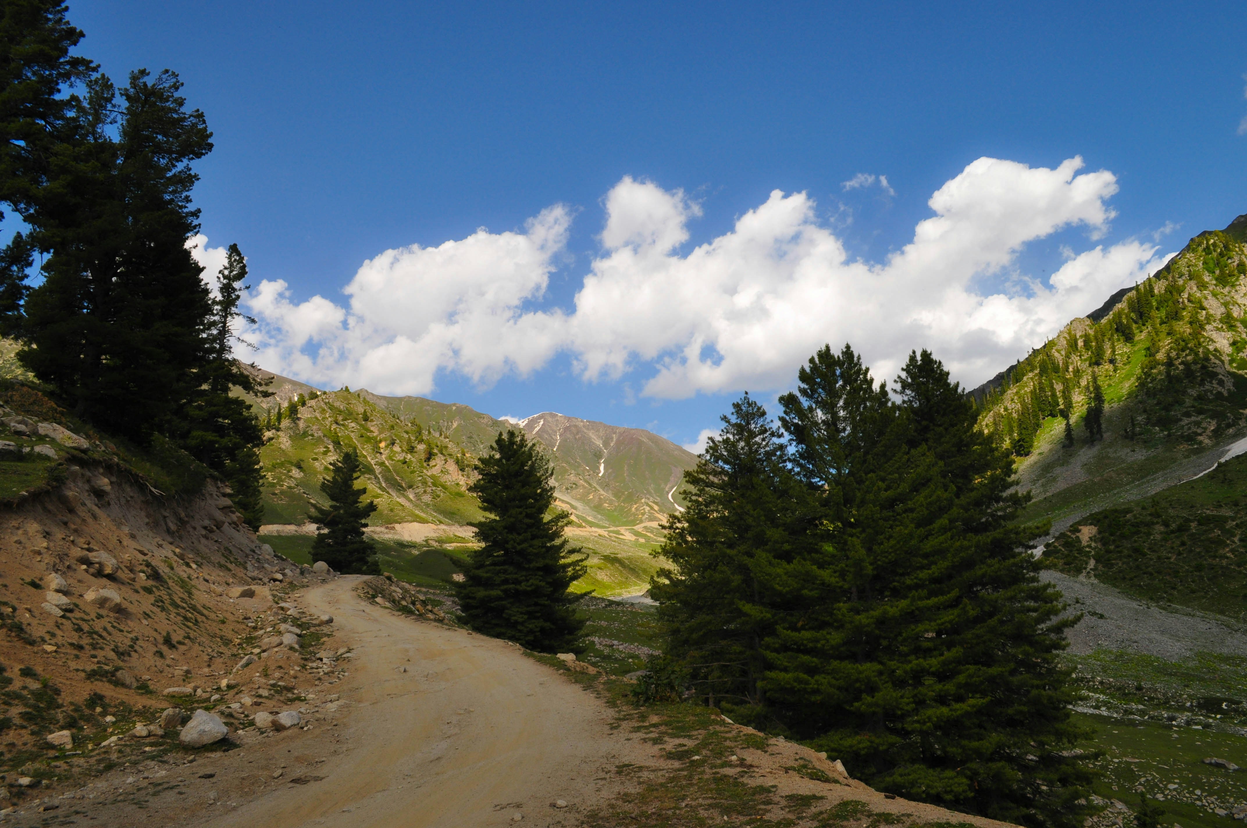 Winding dirt road flanked by lush green trees, leading through a mountainous landscape under a vibrant sky with scattered clouds.