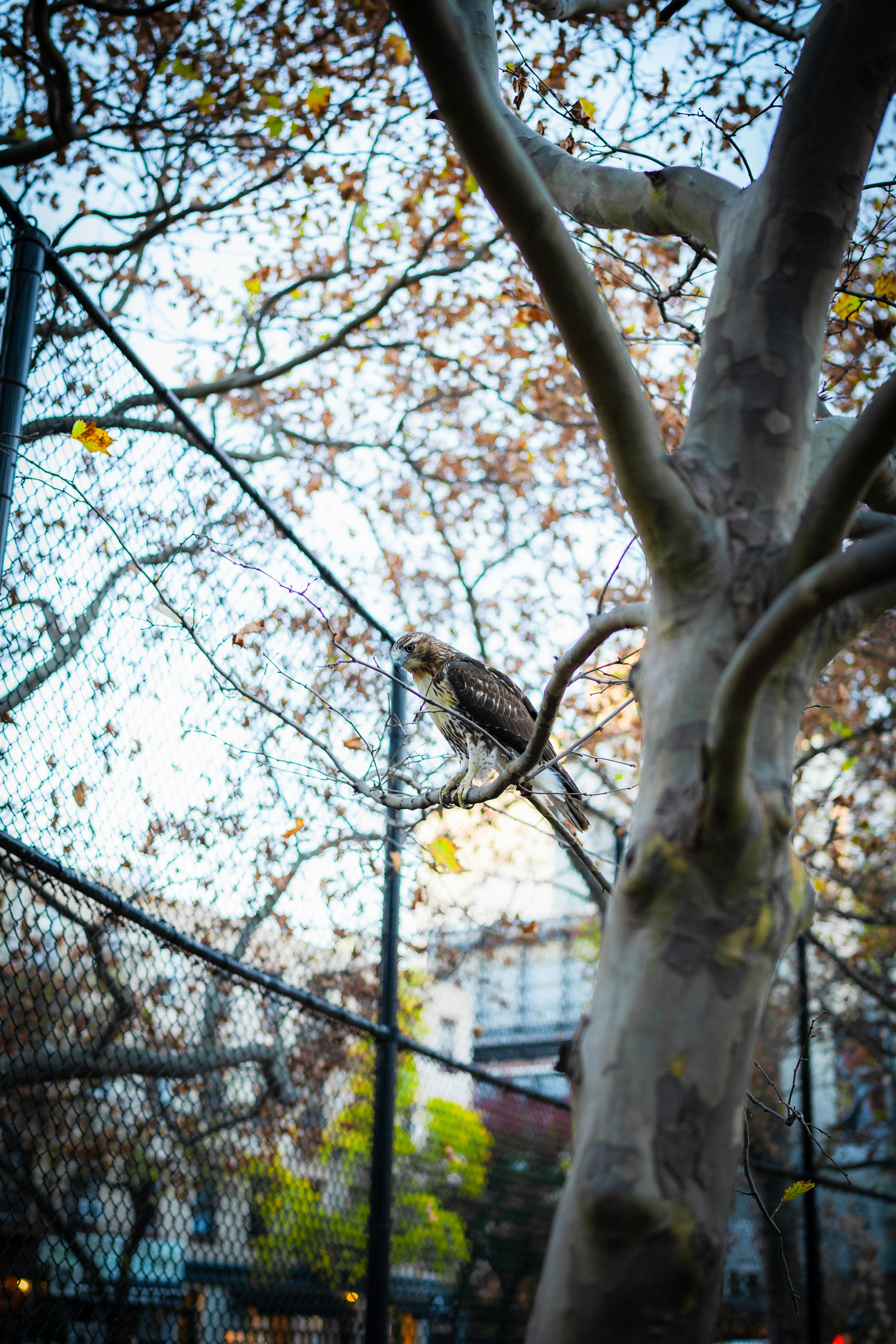 Like what you see? Follow me @thatcameraguymc