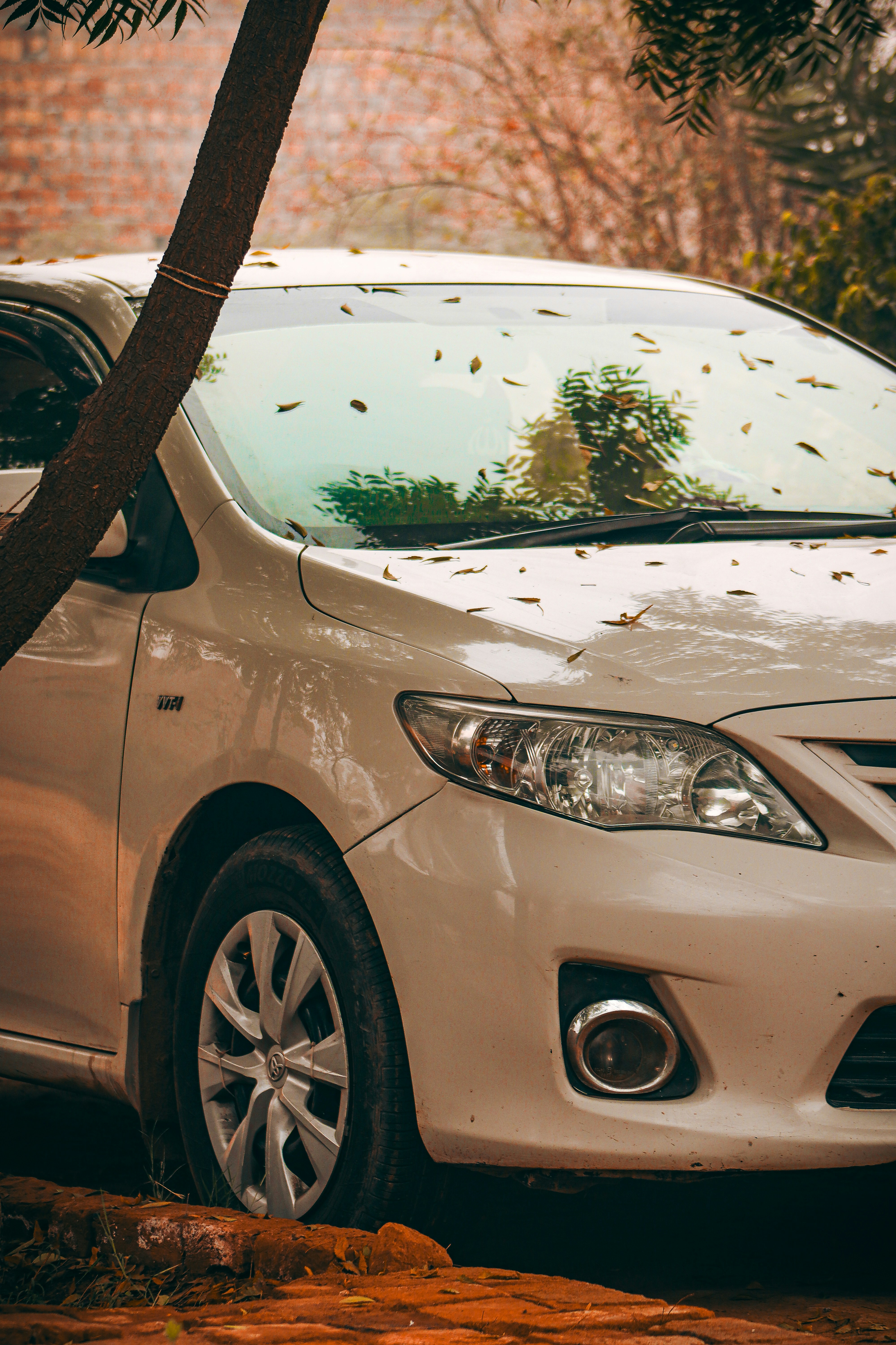 Autumn Light on a Beige Sedan: Front-Right Portrait