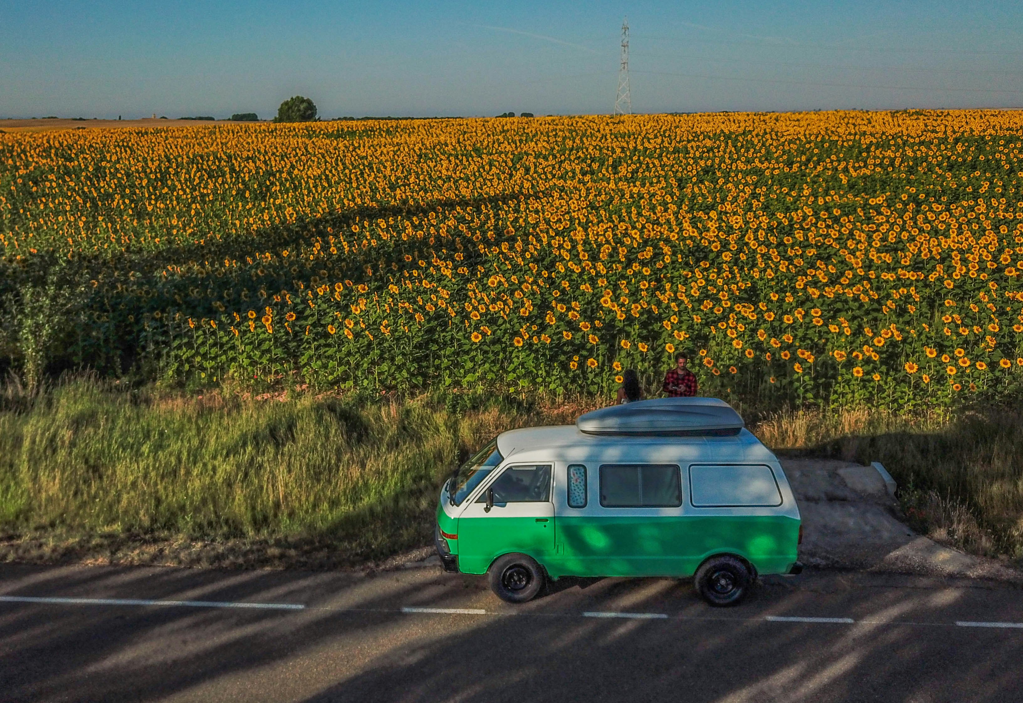 Green vintage van along a road beside a sea of sunflowers