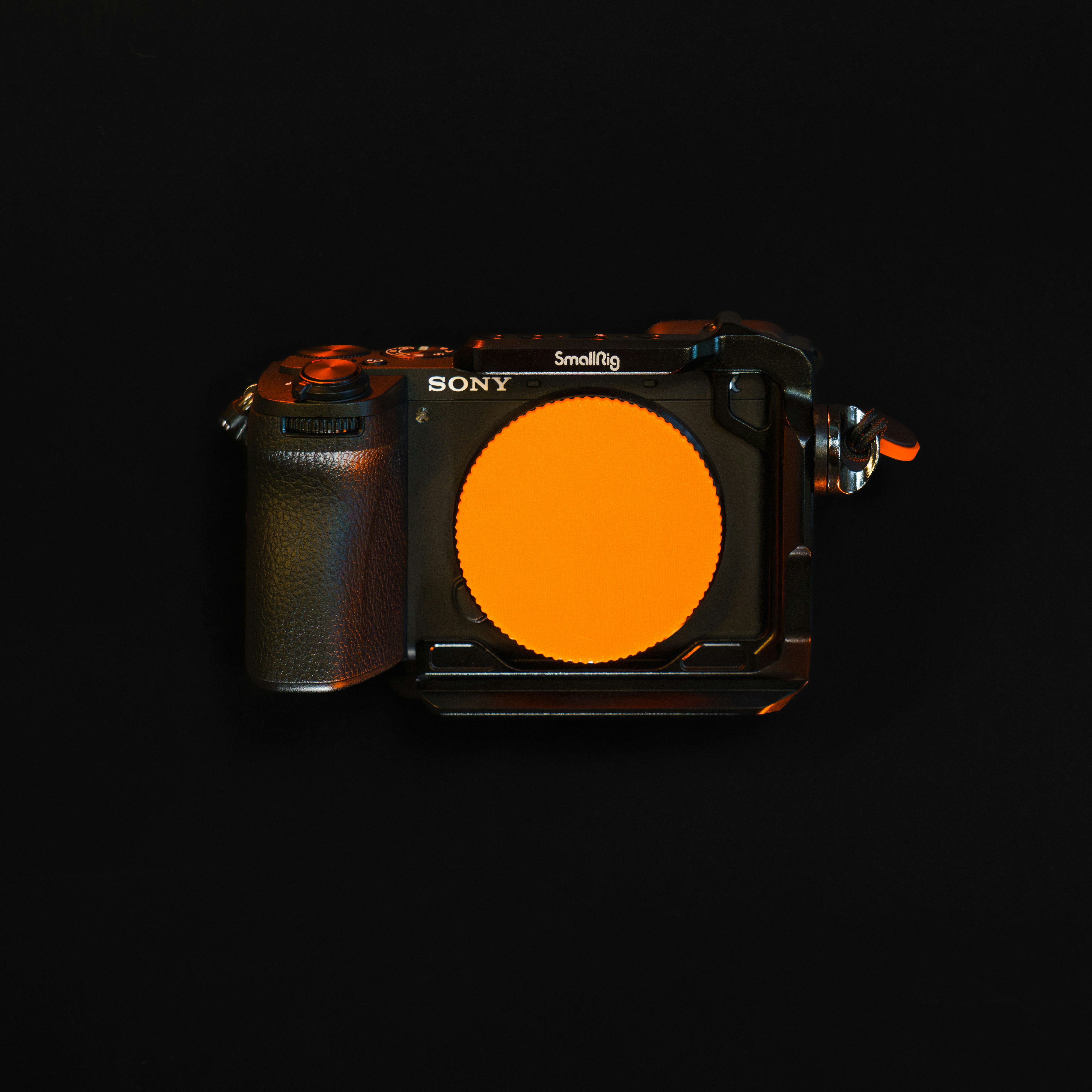 Ember on the Lens: A Sony in Quiet Focus