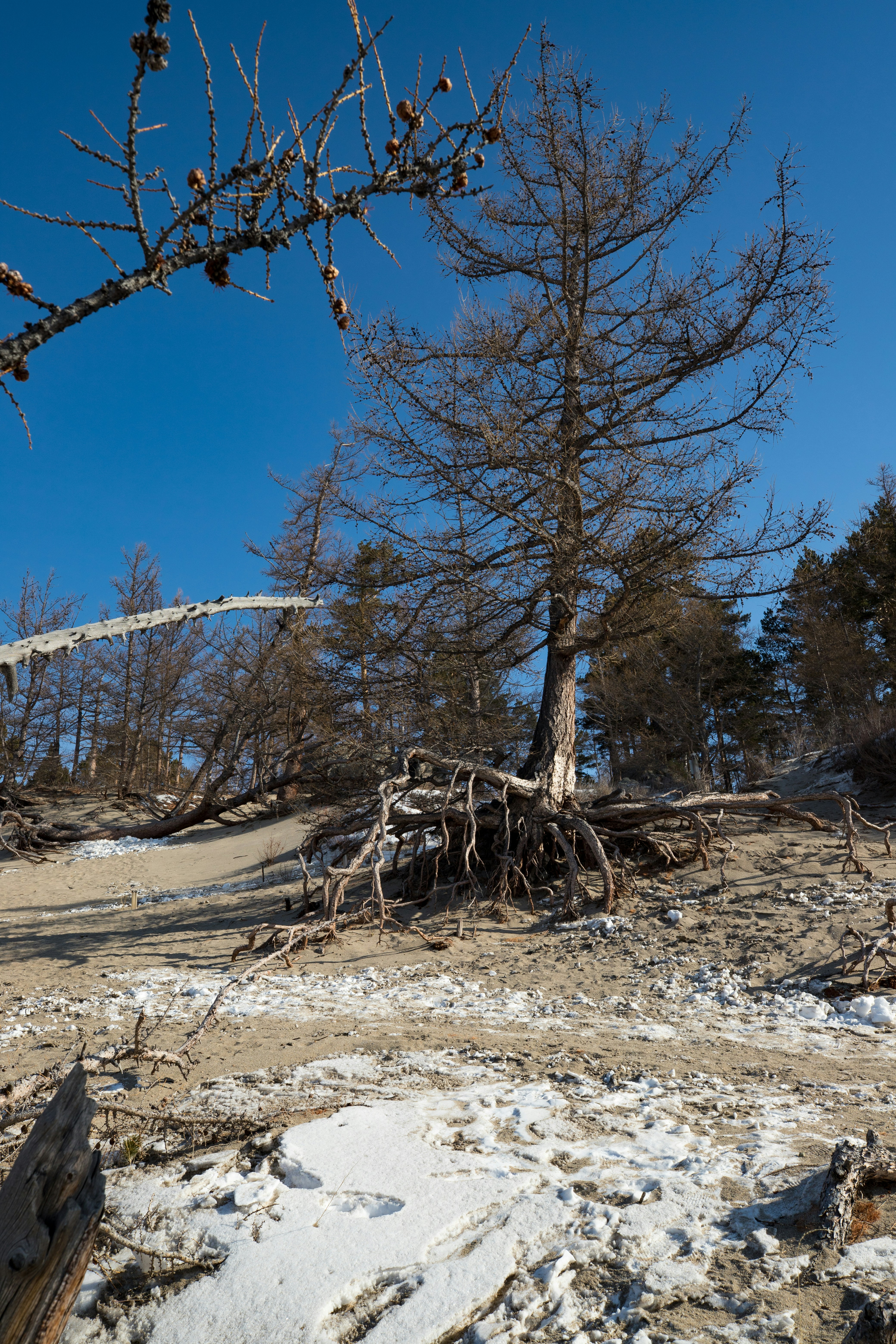 Photo by Anastasia Zolotukhina with Canon EOS 6D Mark II