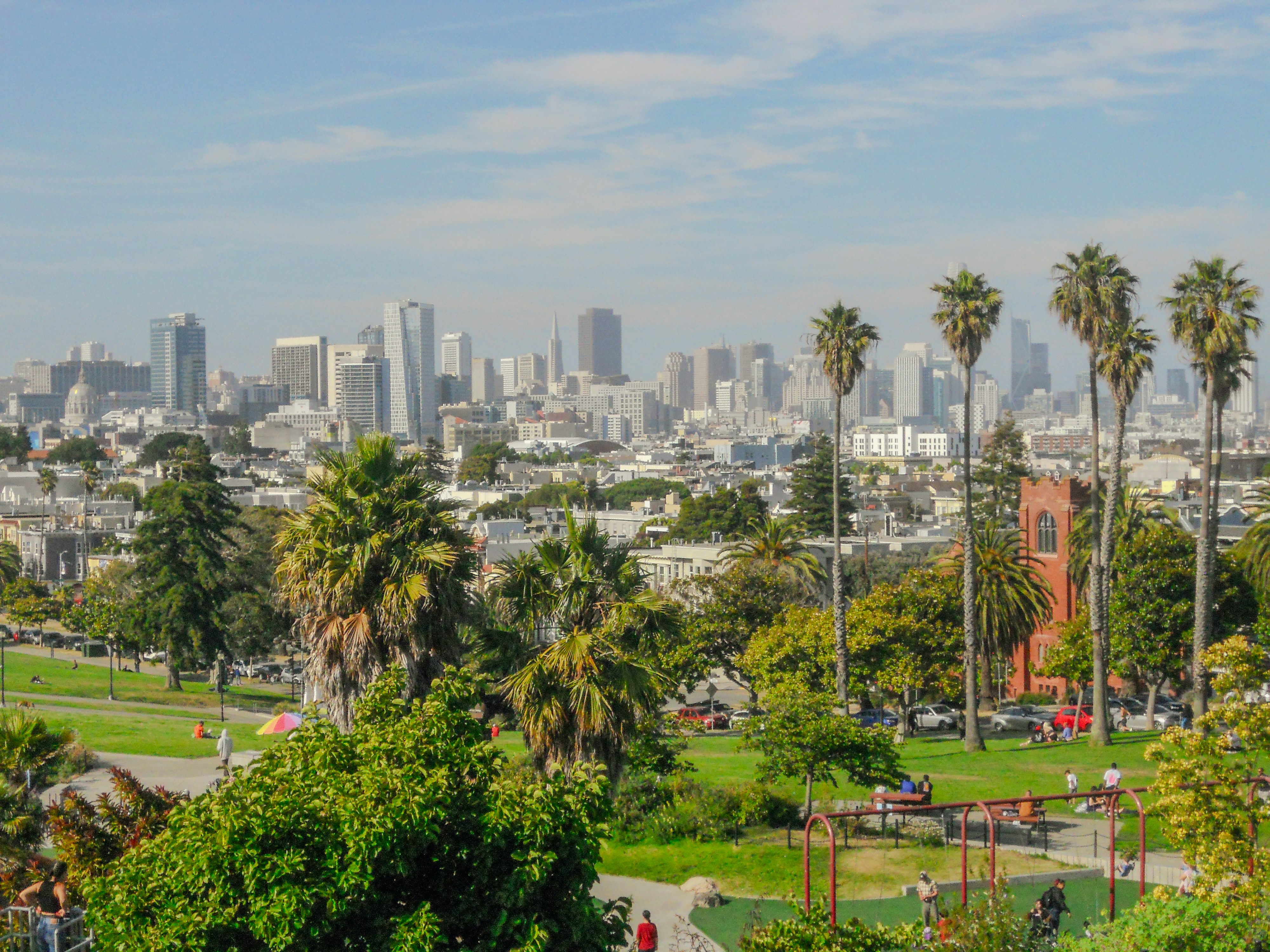City skyline framed by palm trees and greenery under a blue sky.