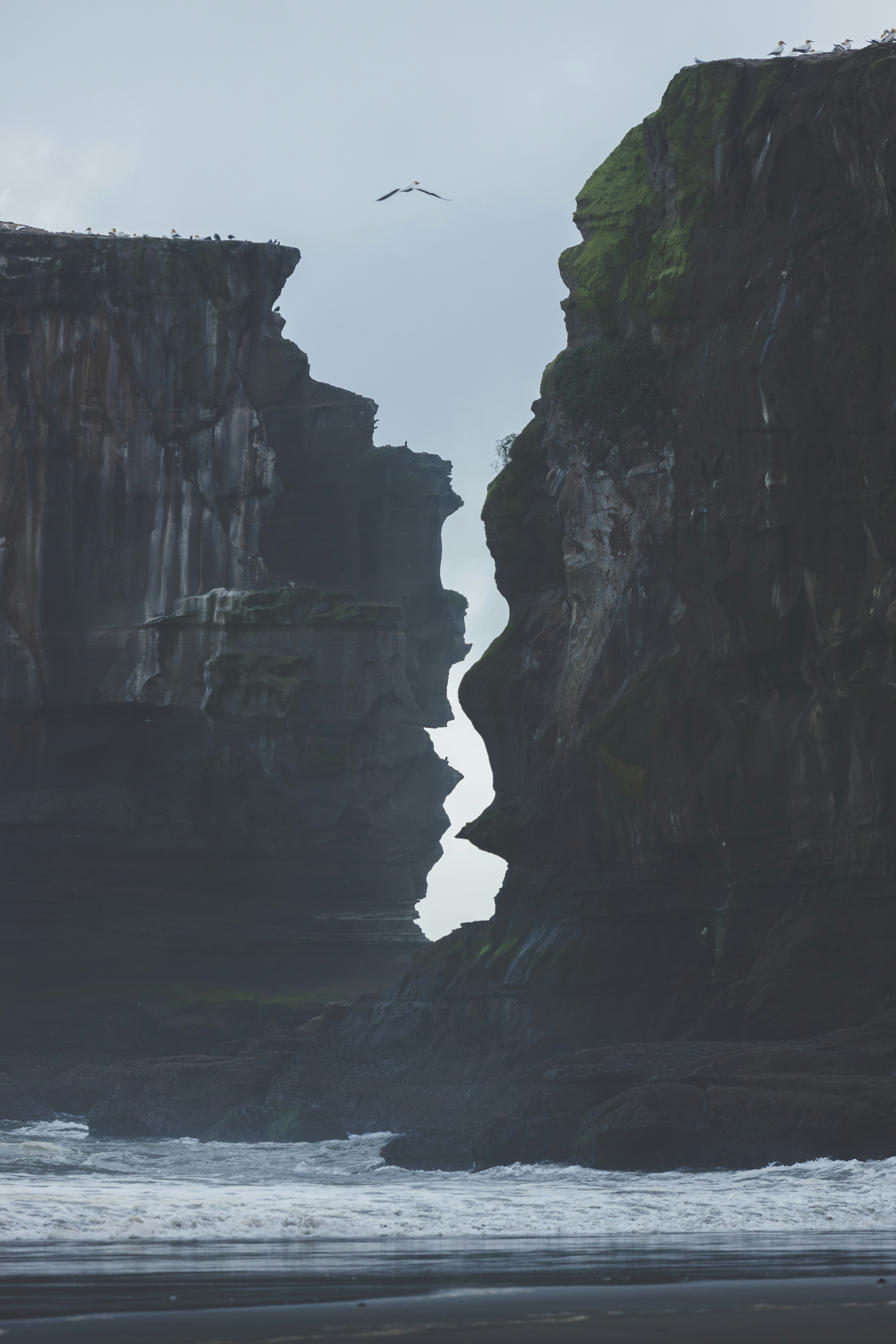 A bird flying over a rocky cliff on a beach photo – Free Beach Image on ...
