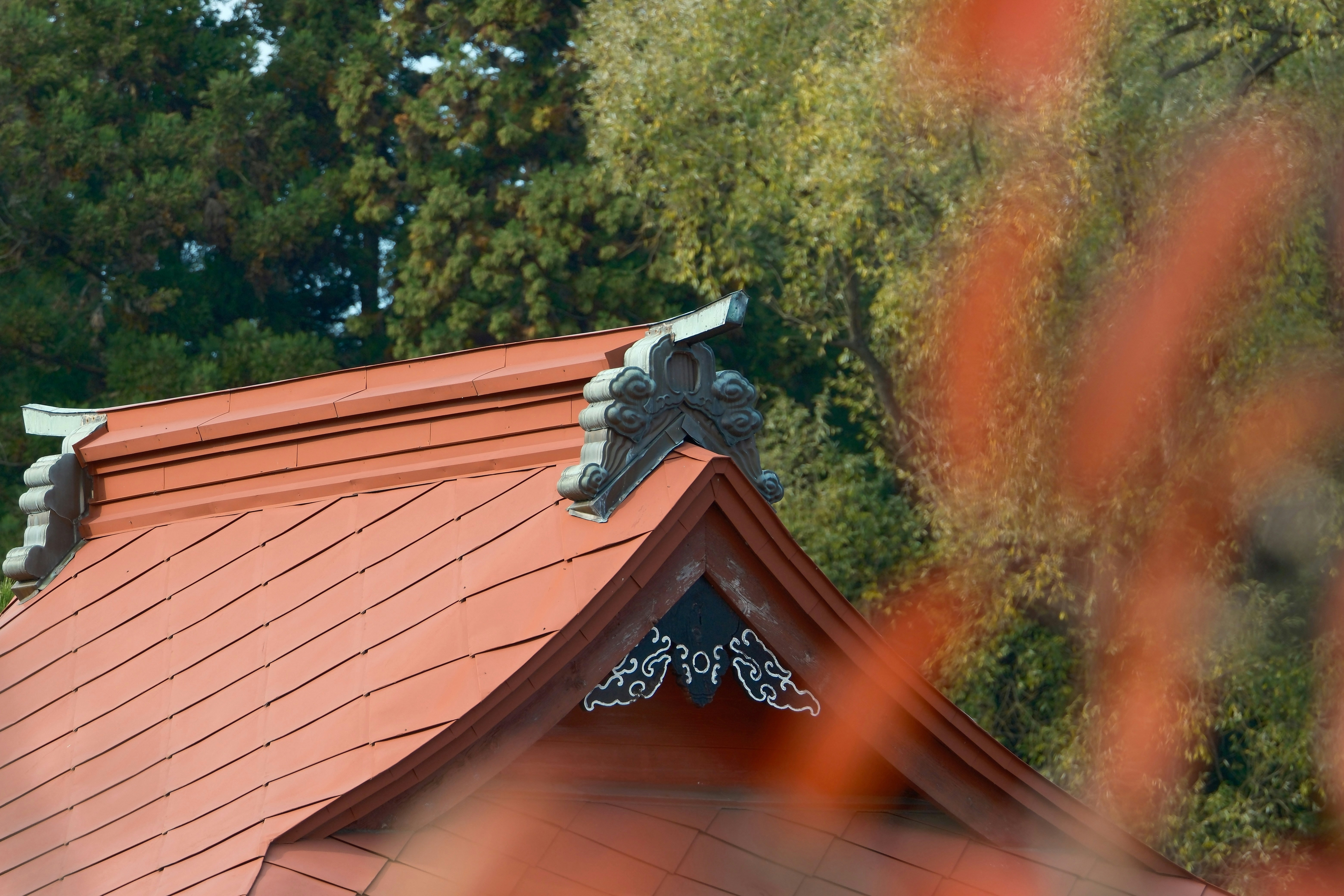 Photo by Seiya Maeda with Fujifilm X-H2S