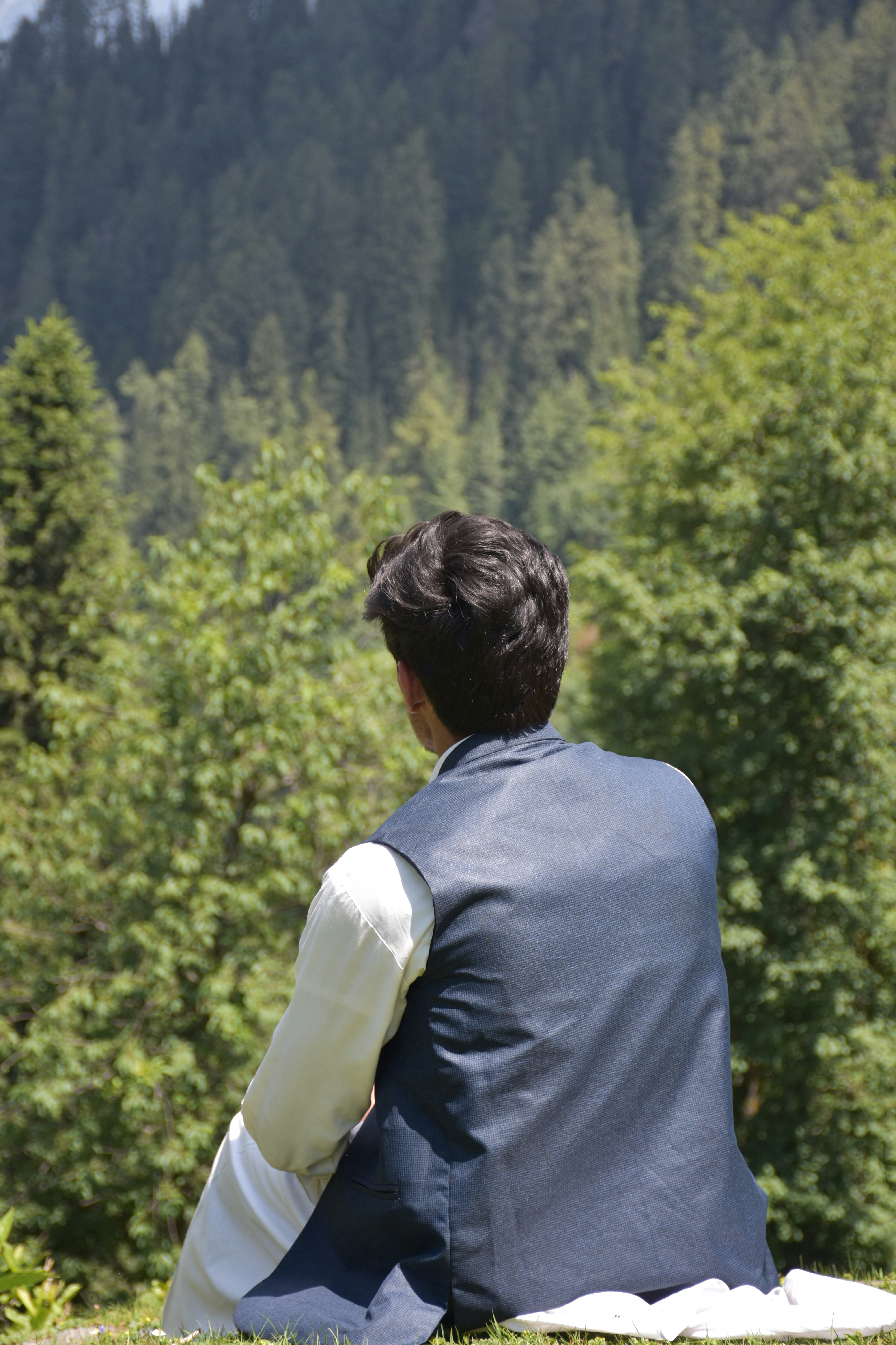 Contemplation Amidst Verdant Peaks