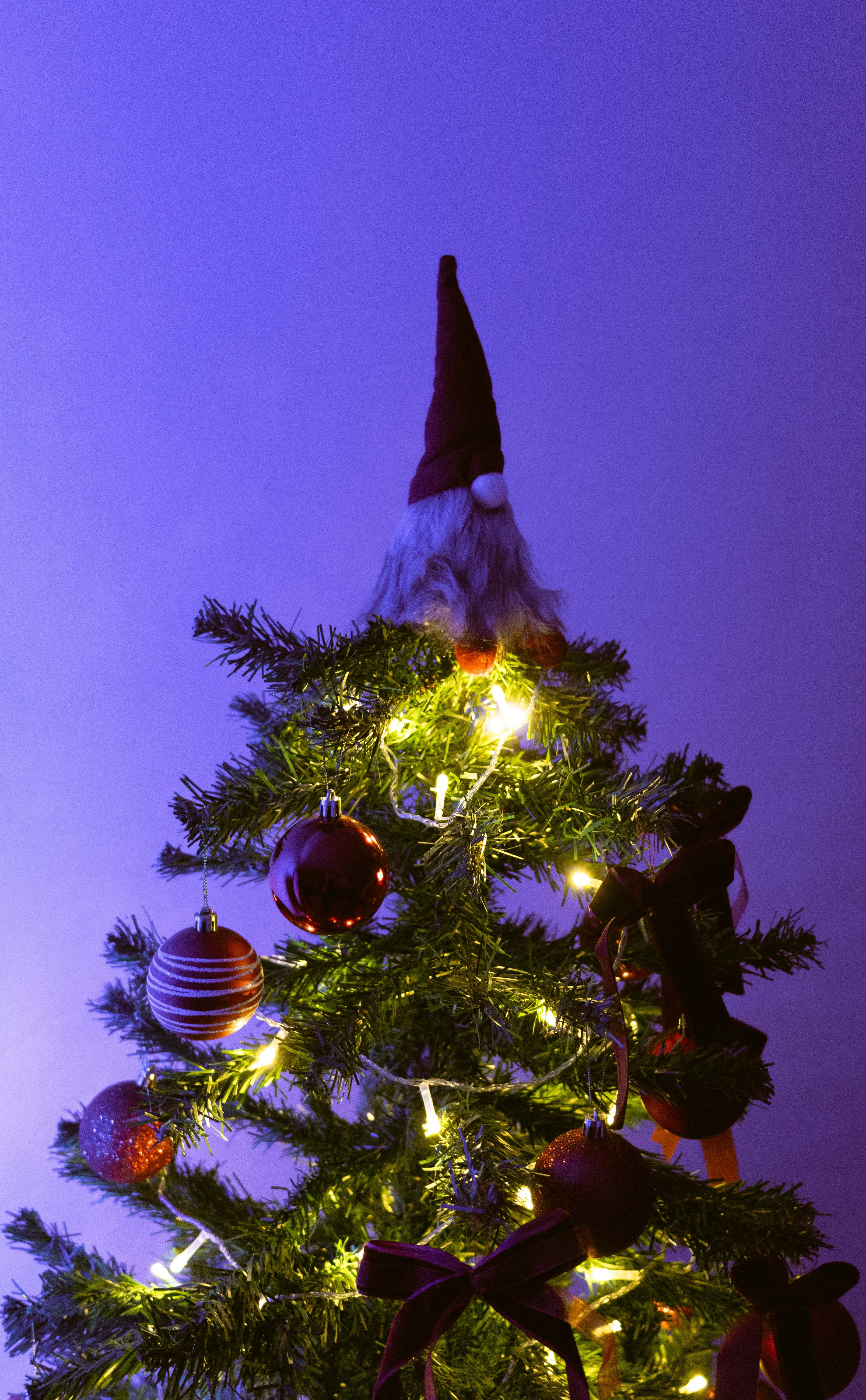 Gnome at the Summit: A Bearded Cap Crowning a Christmas Tree Under Violet Glow