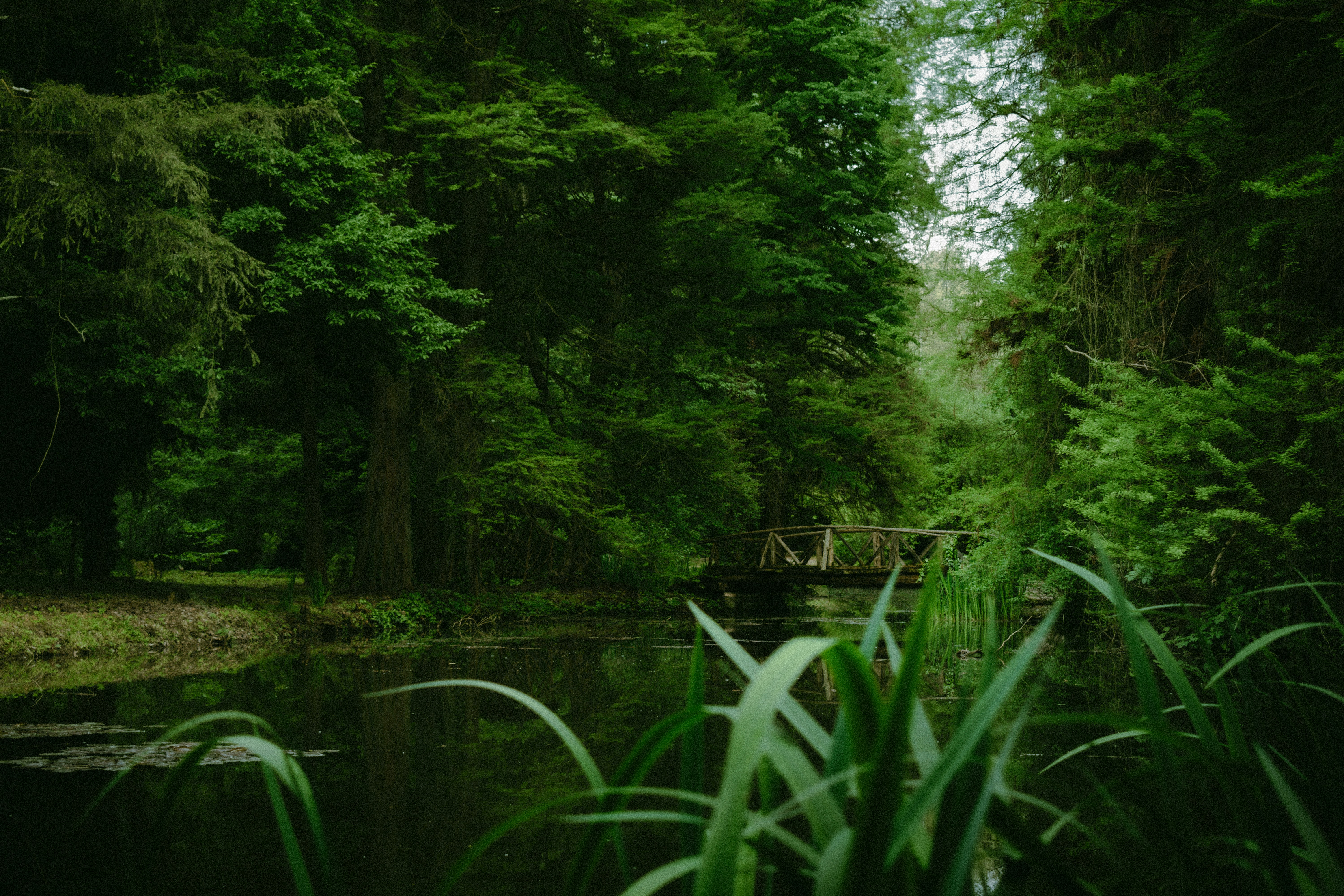 Photo by Gabriel Tudor with Nikon D3500