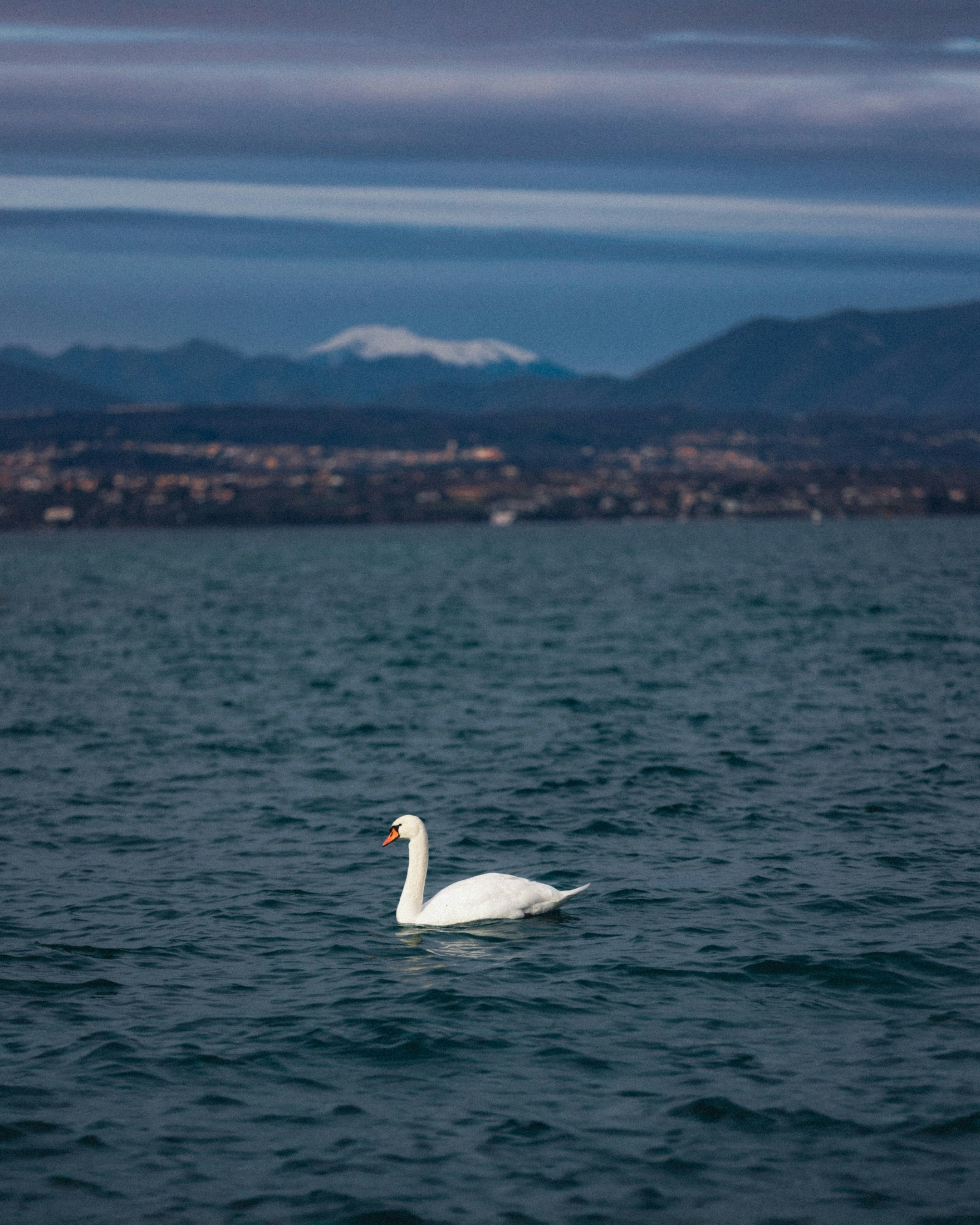 Should you wish to extend your support, l invite you to visit my Instagram and consider following me @withmazur. Your engagement is sincerely appreciated.