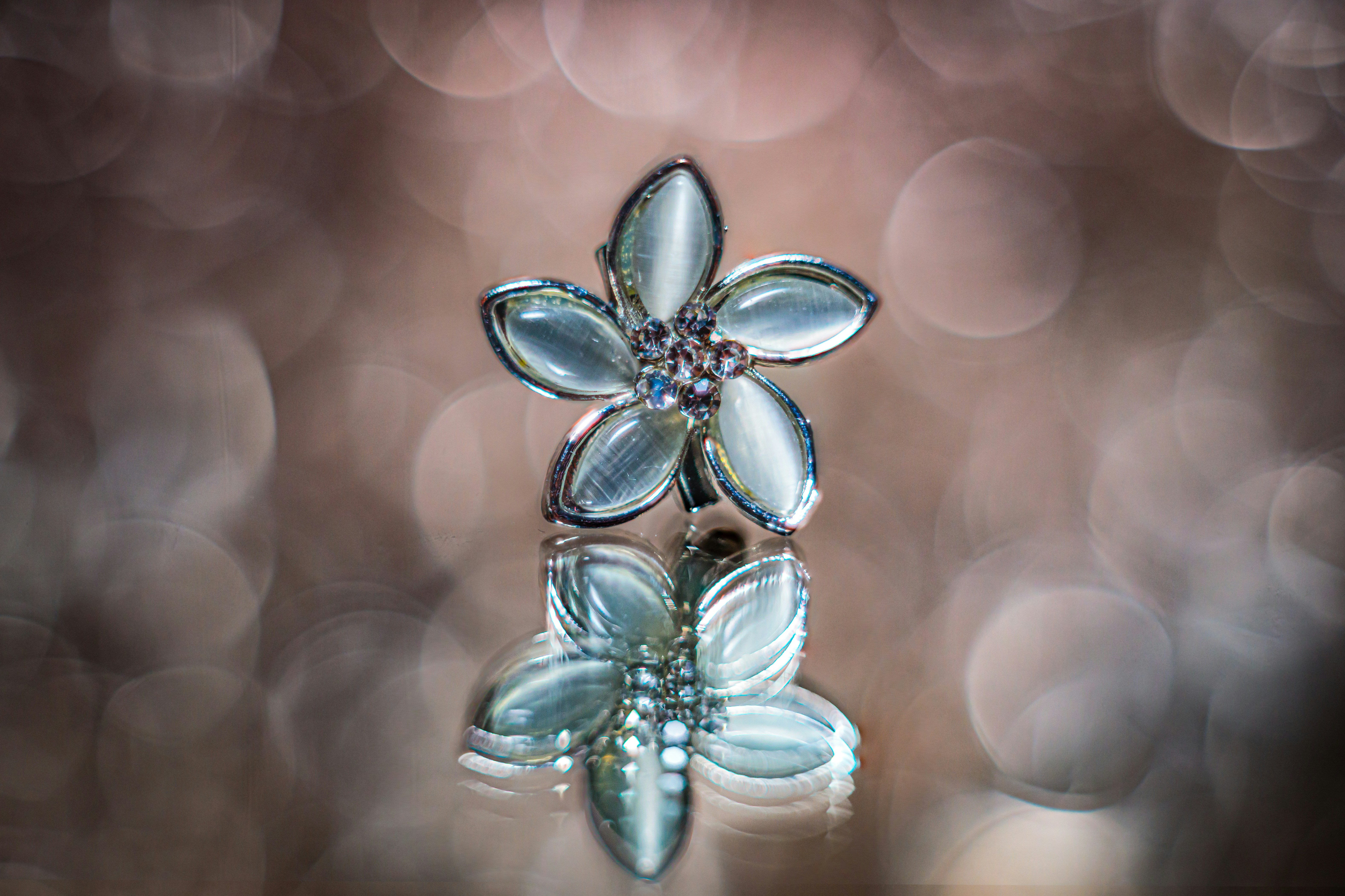 Mirror-Bound Orchid: A jeweled blossom in soft bokeh