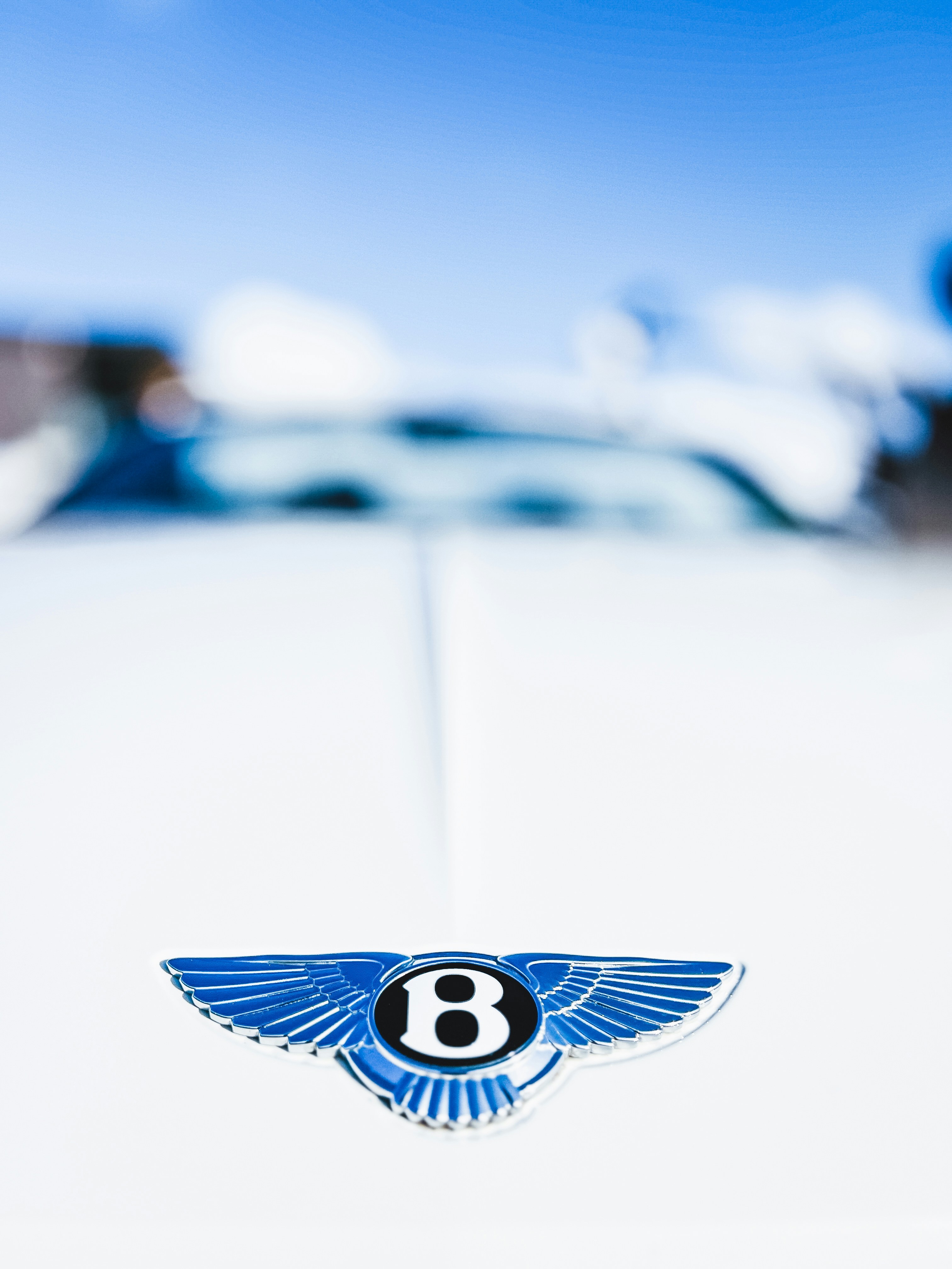 50,000+ Fotos de arrepentimiento | Descargar imágenes gratis en Unsplash