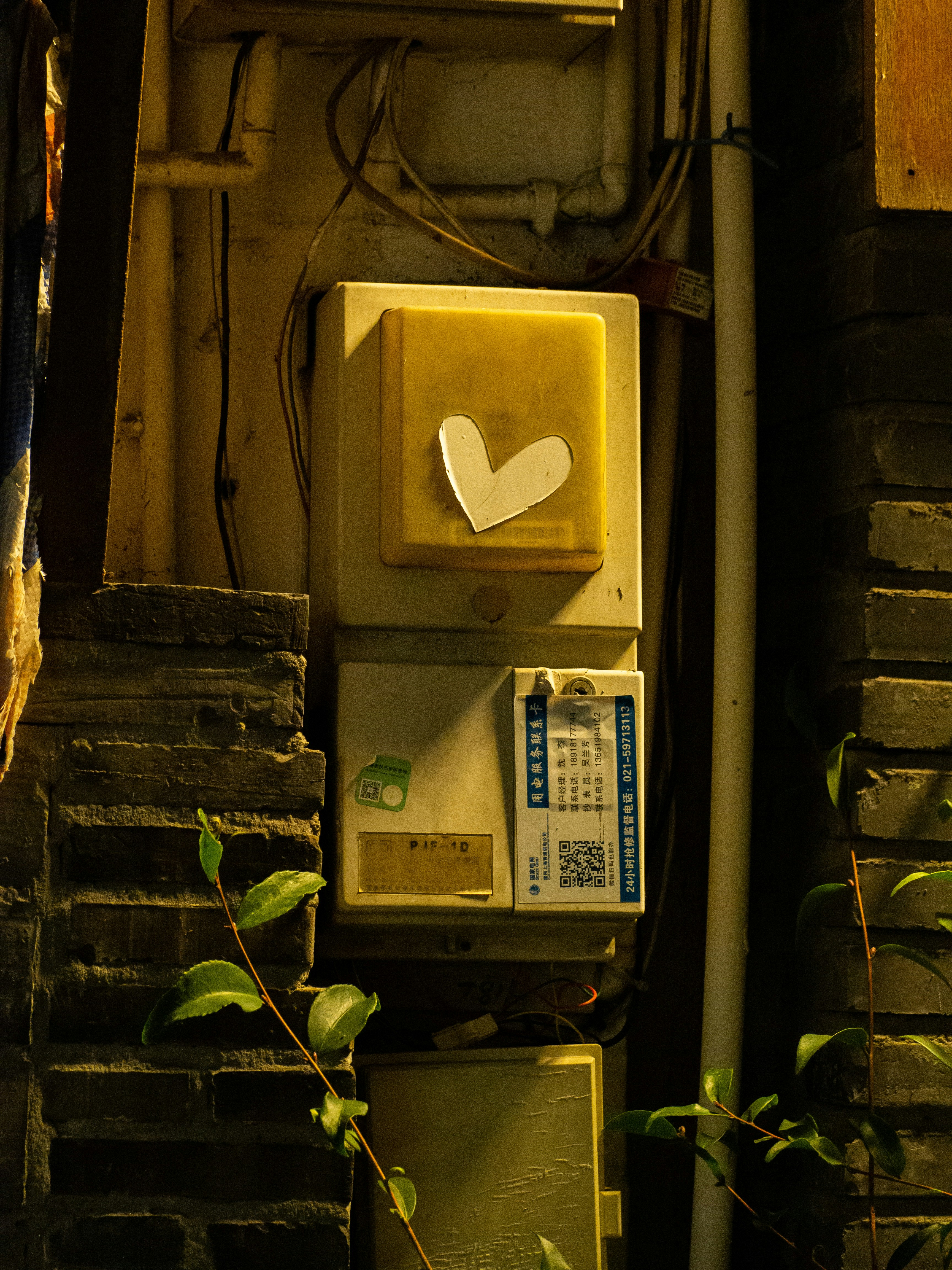 Heart Emblem on a Weathered Utility Box in a Narrow Alley