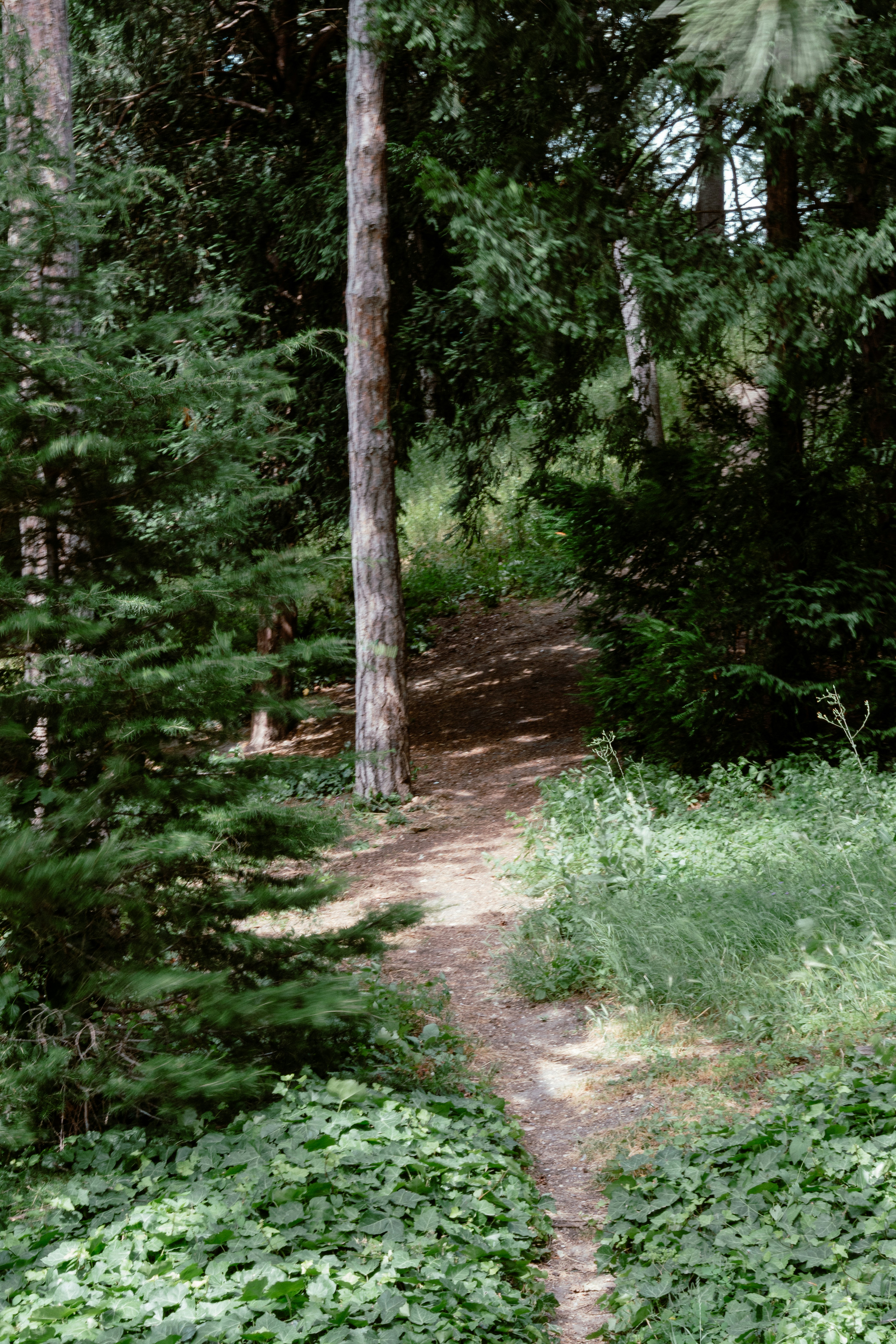 Photo by Eliott Goutard with Sony Alpha 6700