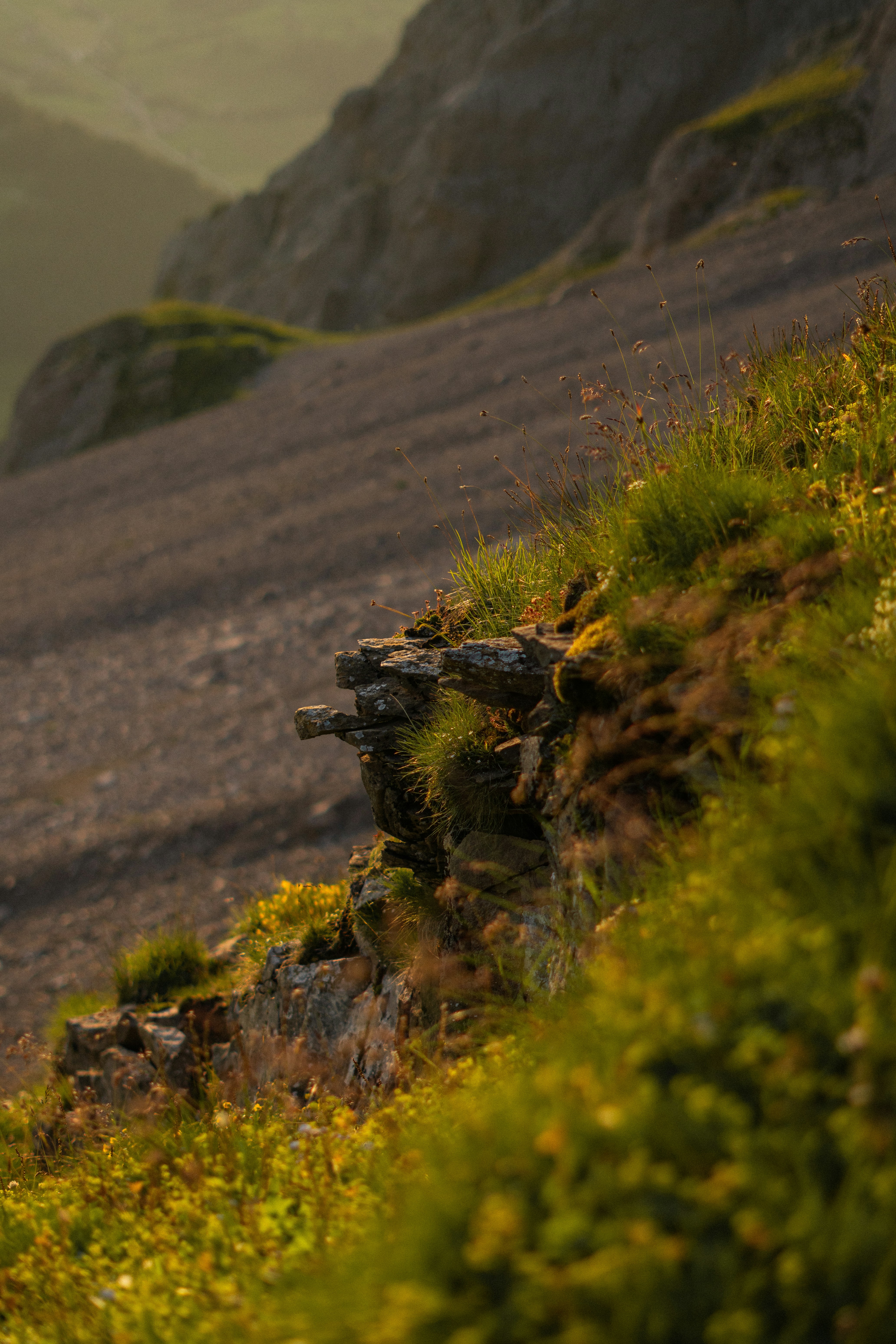 Golden Hour Ledge: Mossy Rock and Alpine Slopes