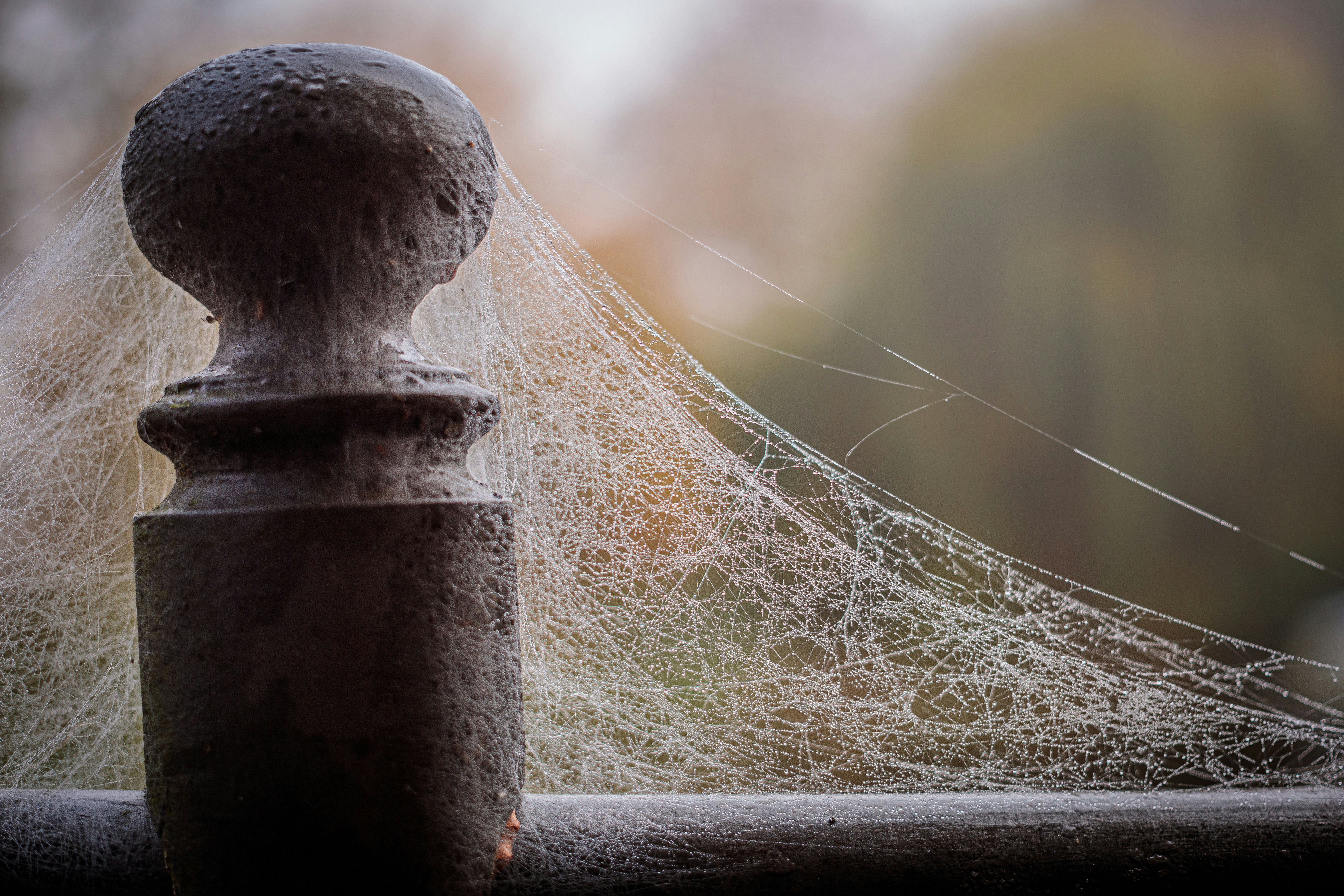 Rust and Silk at Dawn: A Quiet Web Across a Weathered Finial