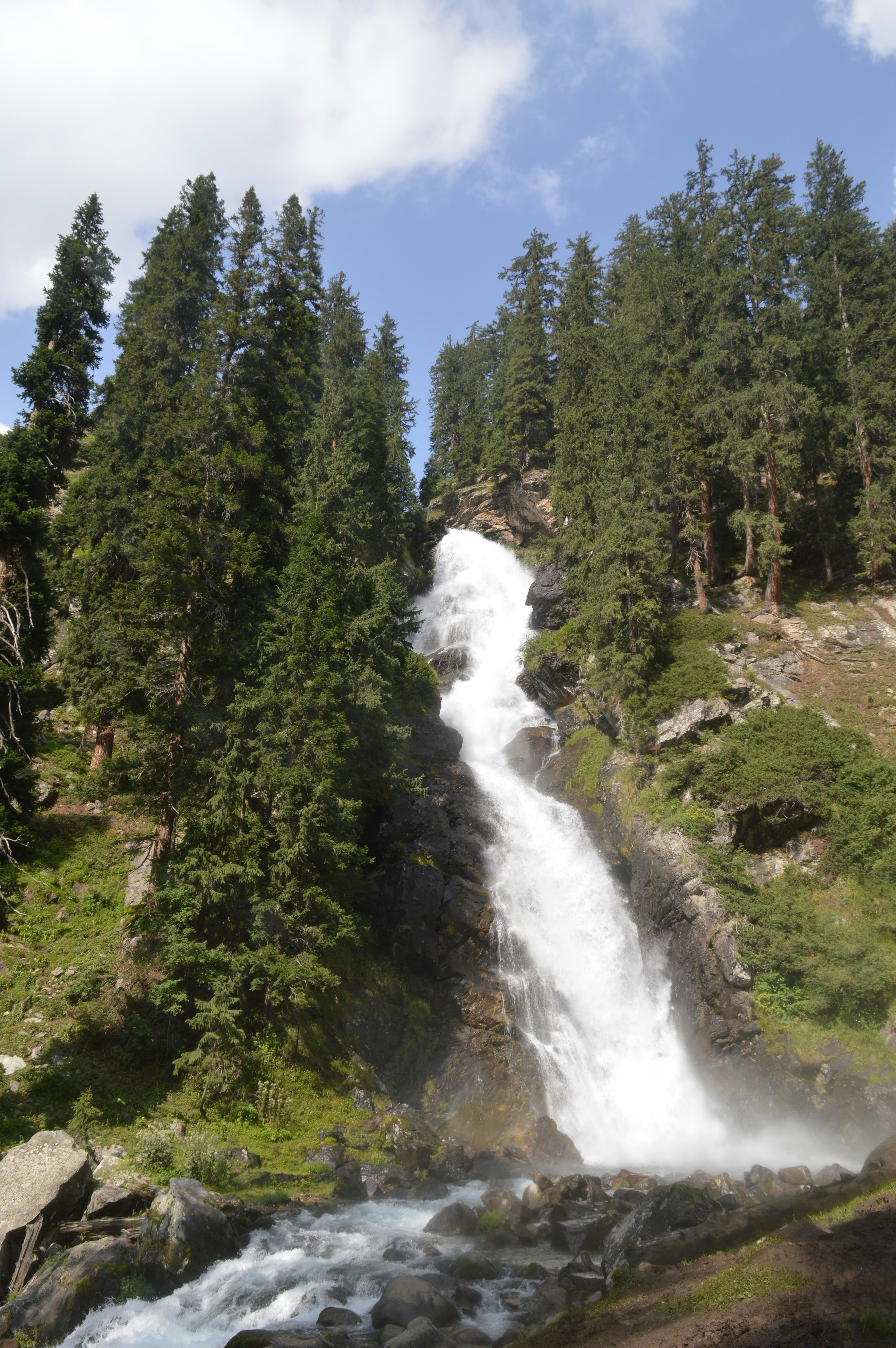 Graphic House (@ucgraphichouse) | Komunitas Foto Unsplash