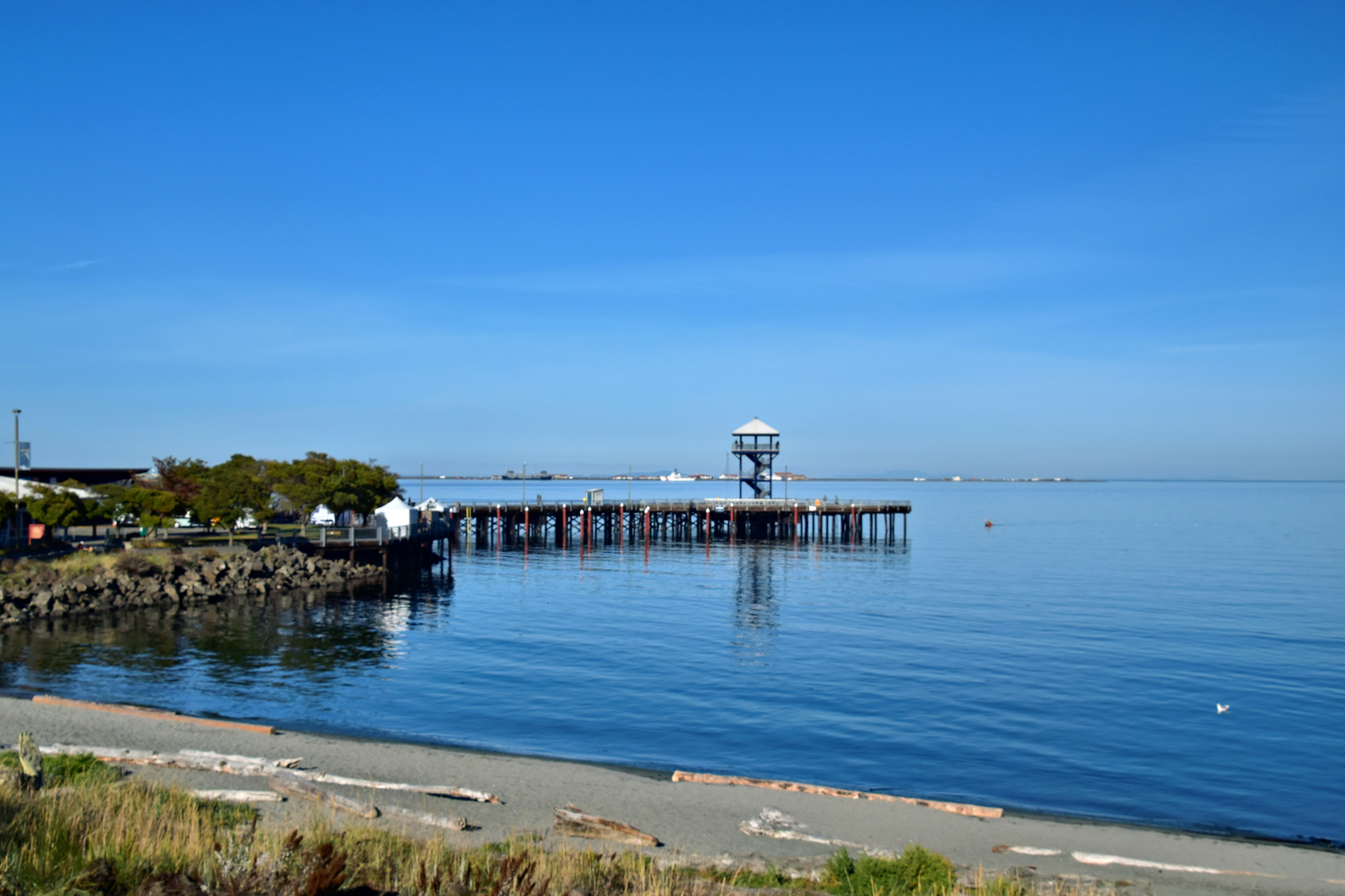 Pier Sentinel Over a Quiet Blue Harbor
