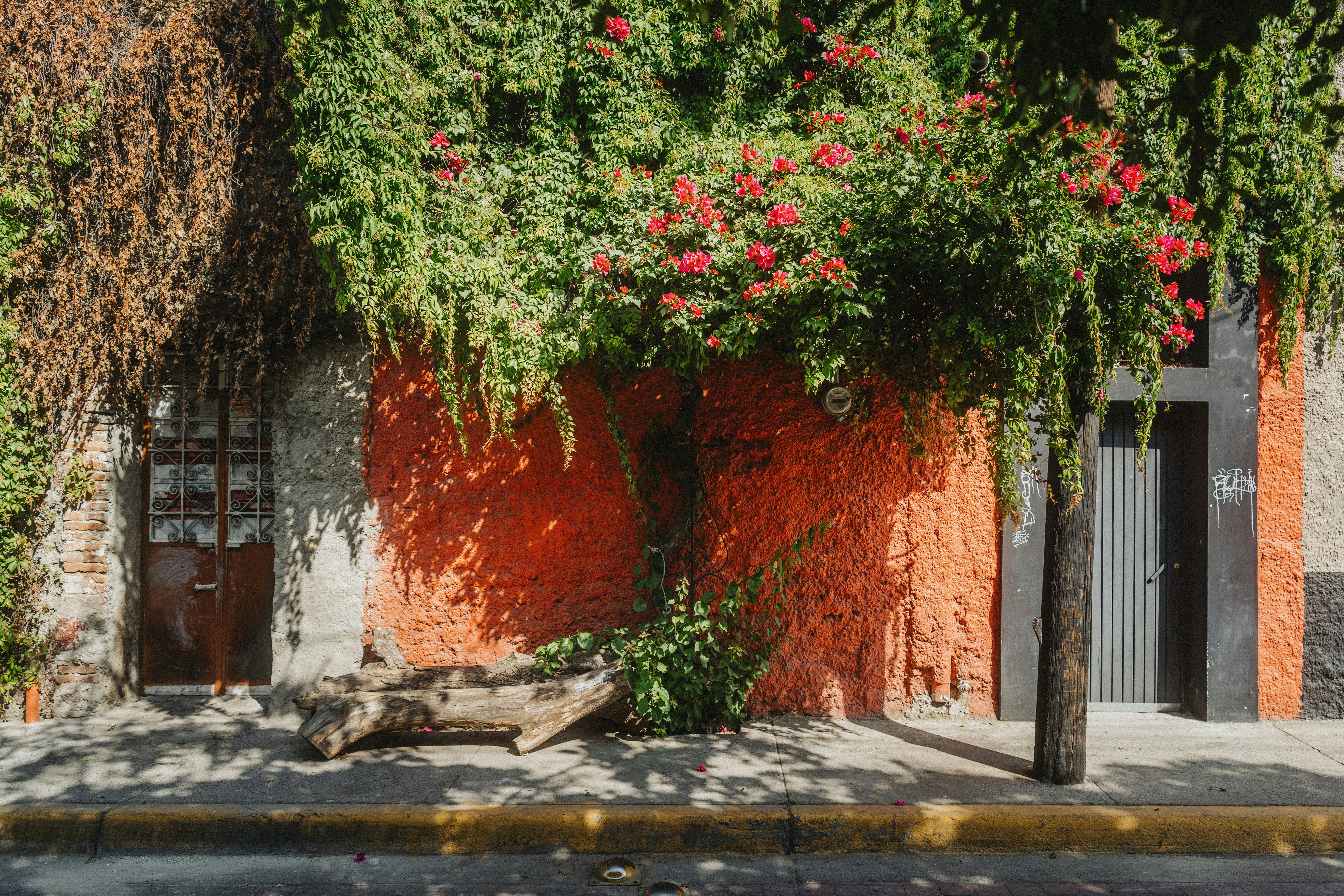 A building that has a bunch of plants growing on it photo – Free Town ...